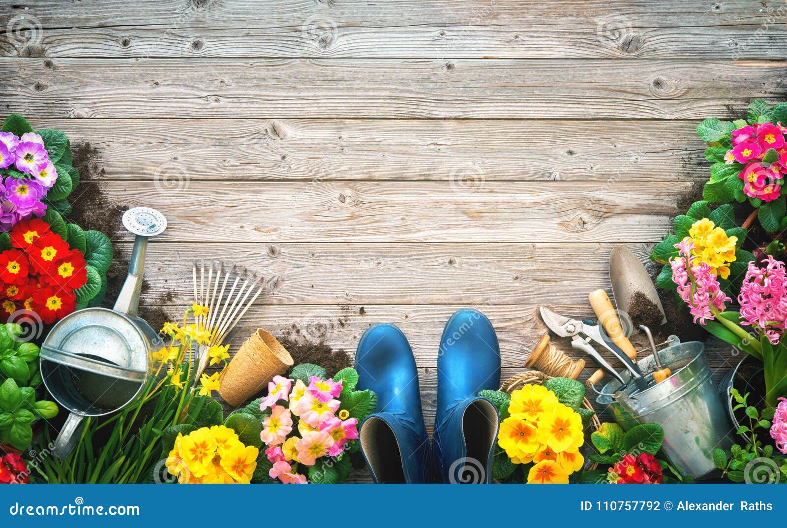 Gardening Tools and Spring Flowers on the Terrace Stock Photo - Image ...