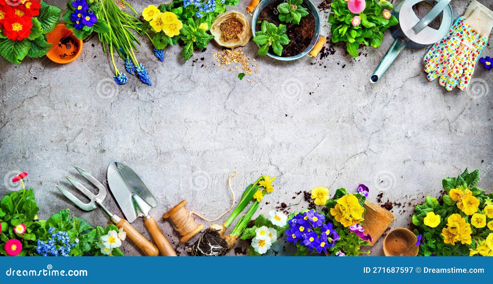 Gardening Tools and Spring Flowers on the Terrace Stock Image - Image ...