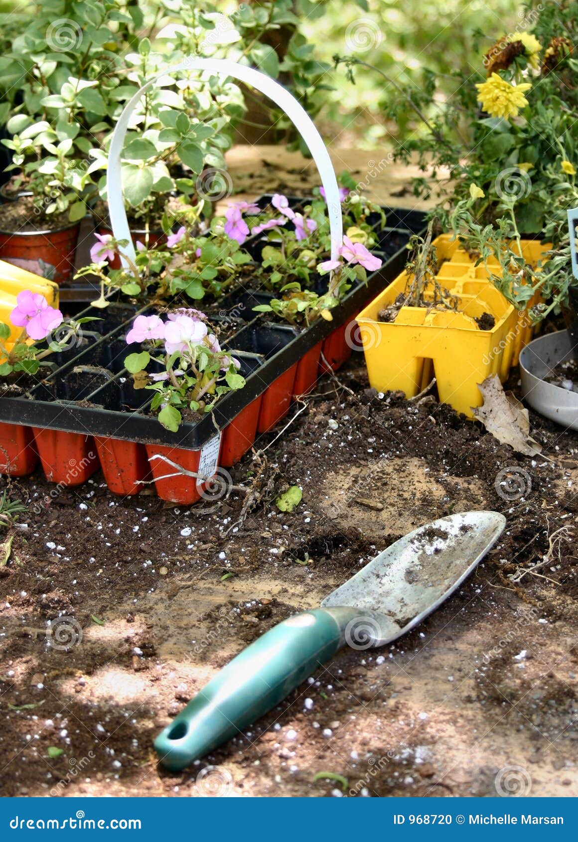 Gardening Tools and Spring Plants Stock Photo - Image of flowers ...