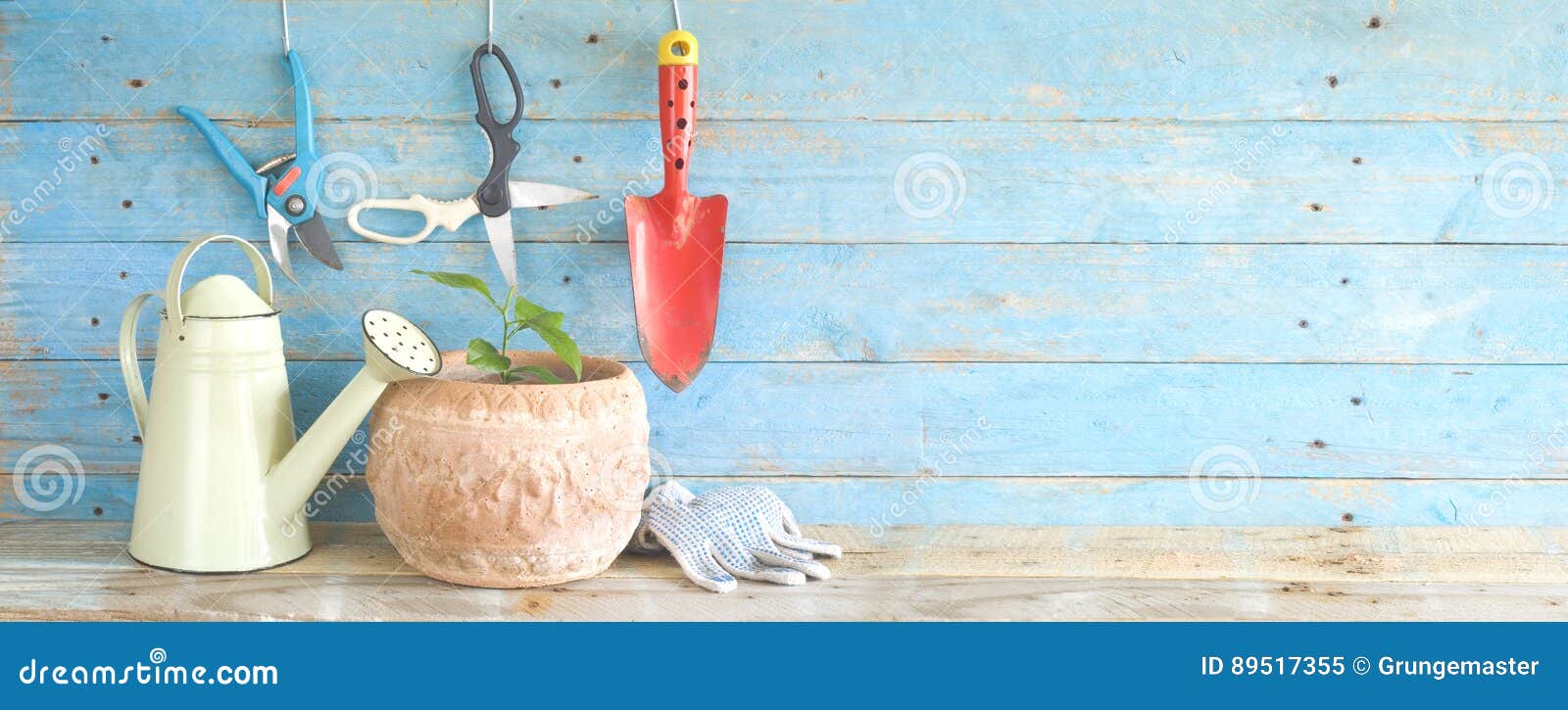 Gardening Tools and Young Lemon Tree Stock Image - Image of loppers ...