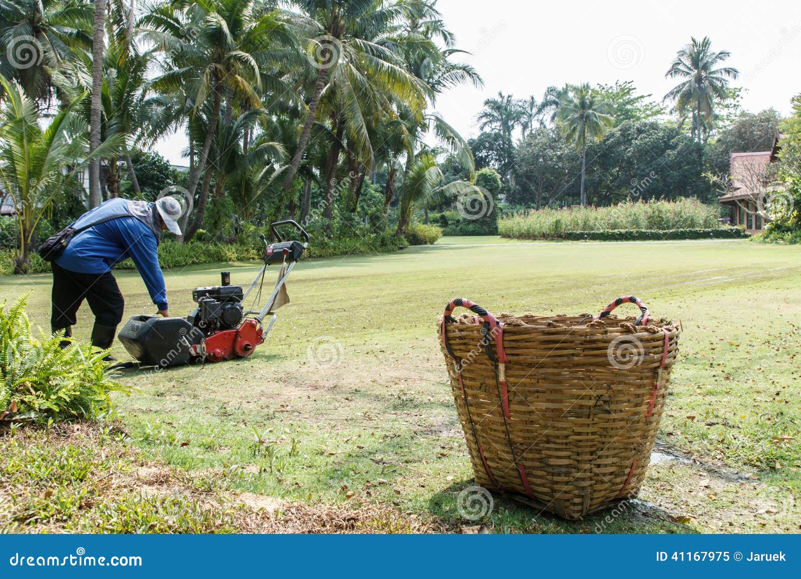 Gardening editorial image. Image of summer, sunny, lawn - 41167975