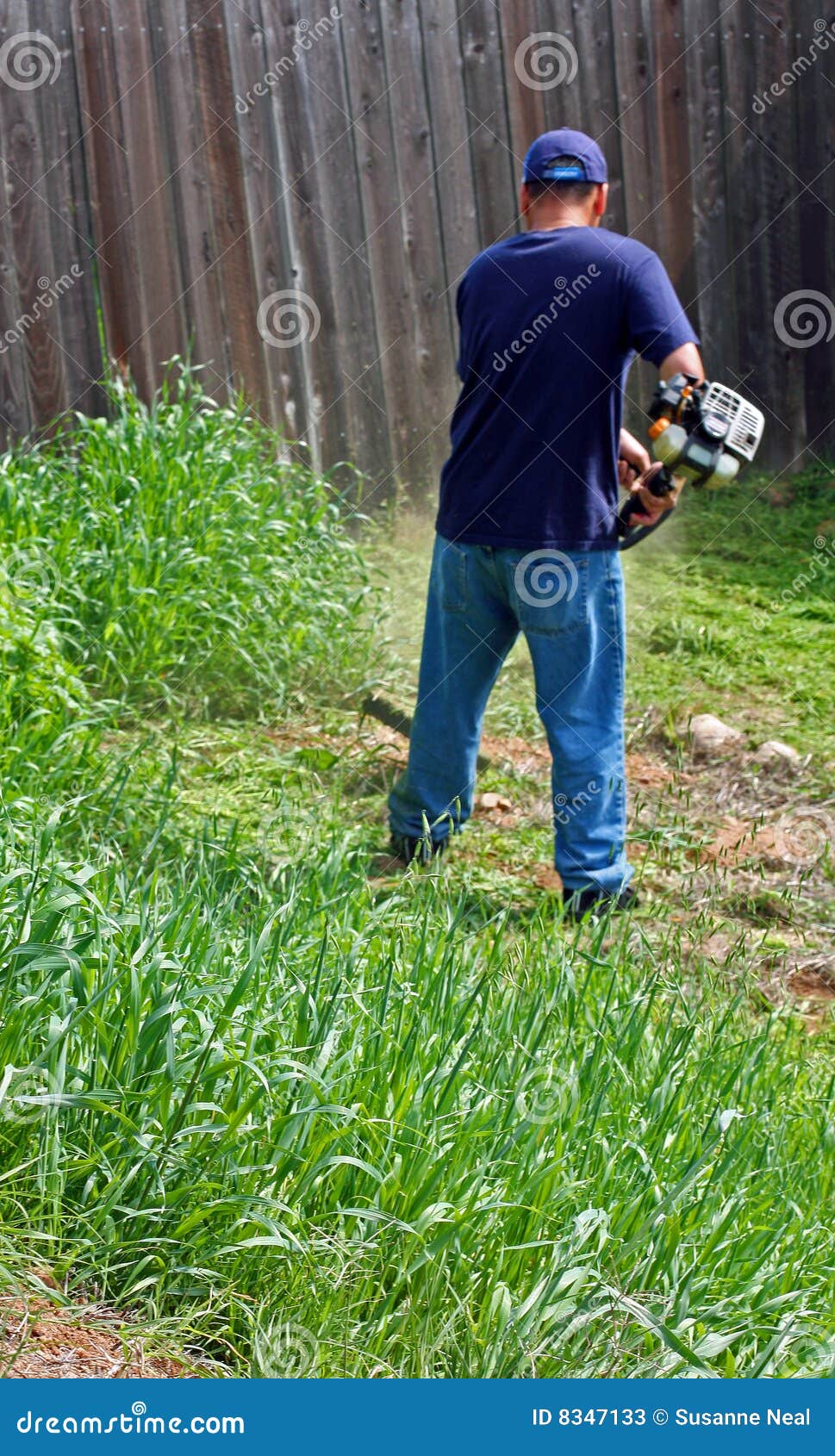 Royalty Free Images, Cartoons, Illustrations And Photos Designed By ...