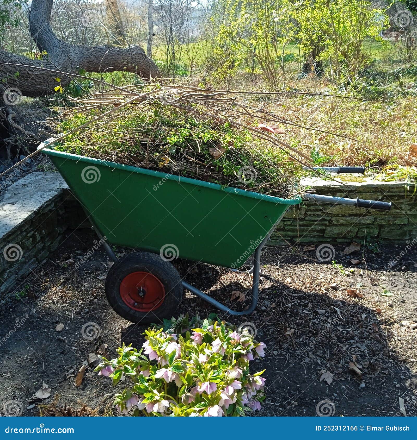 Gardening Work in a Nursery Stock Photo - Image of labor, handicraft ...