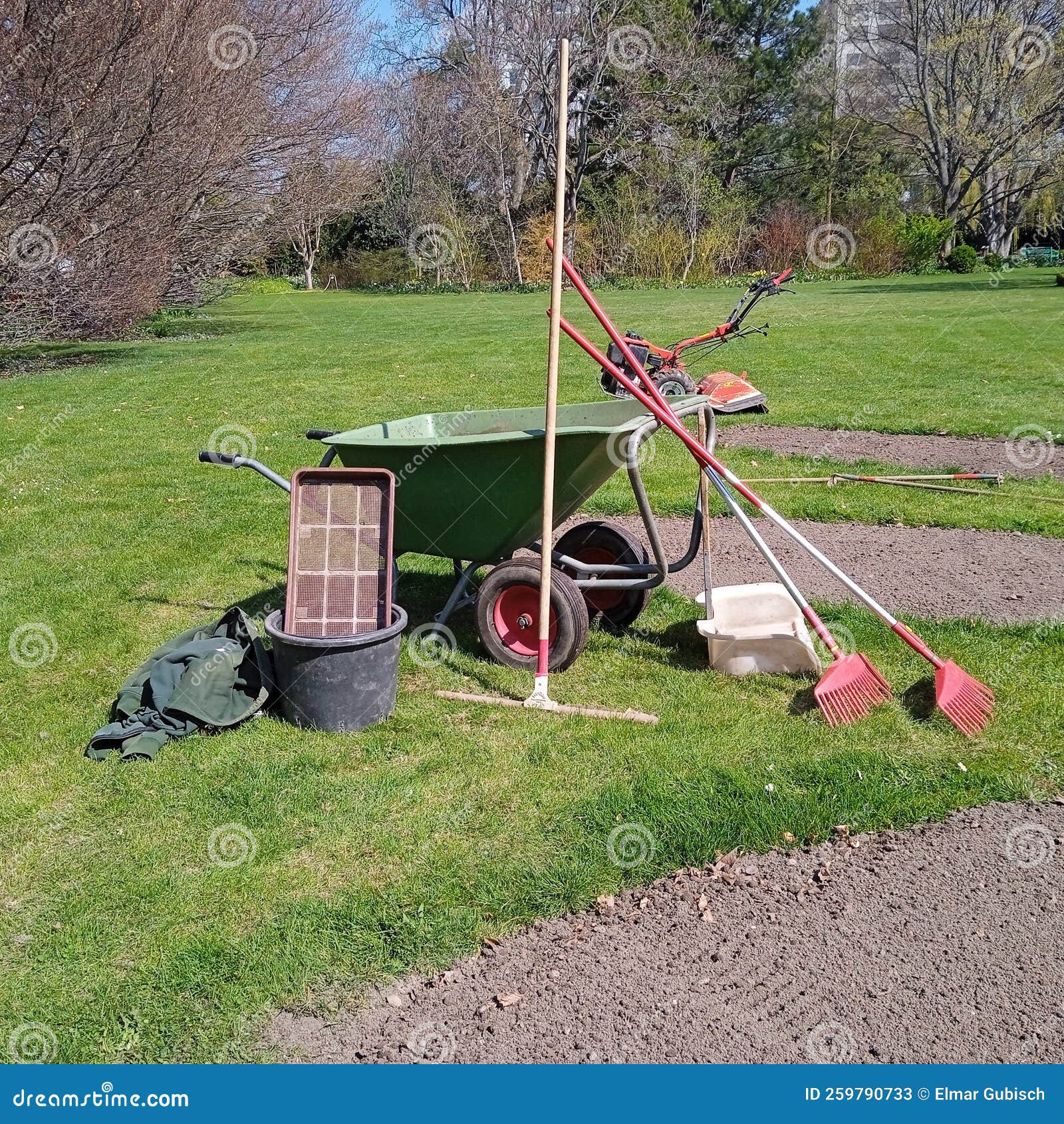 Gardening Work in a Nursery Stock Image - Image of garden, plant: 259790733