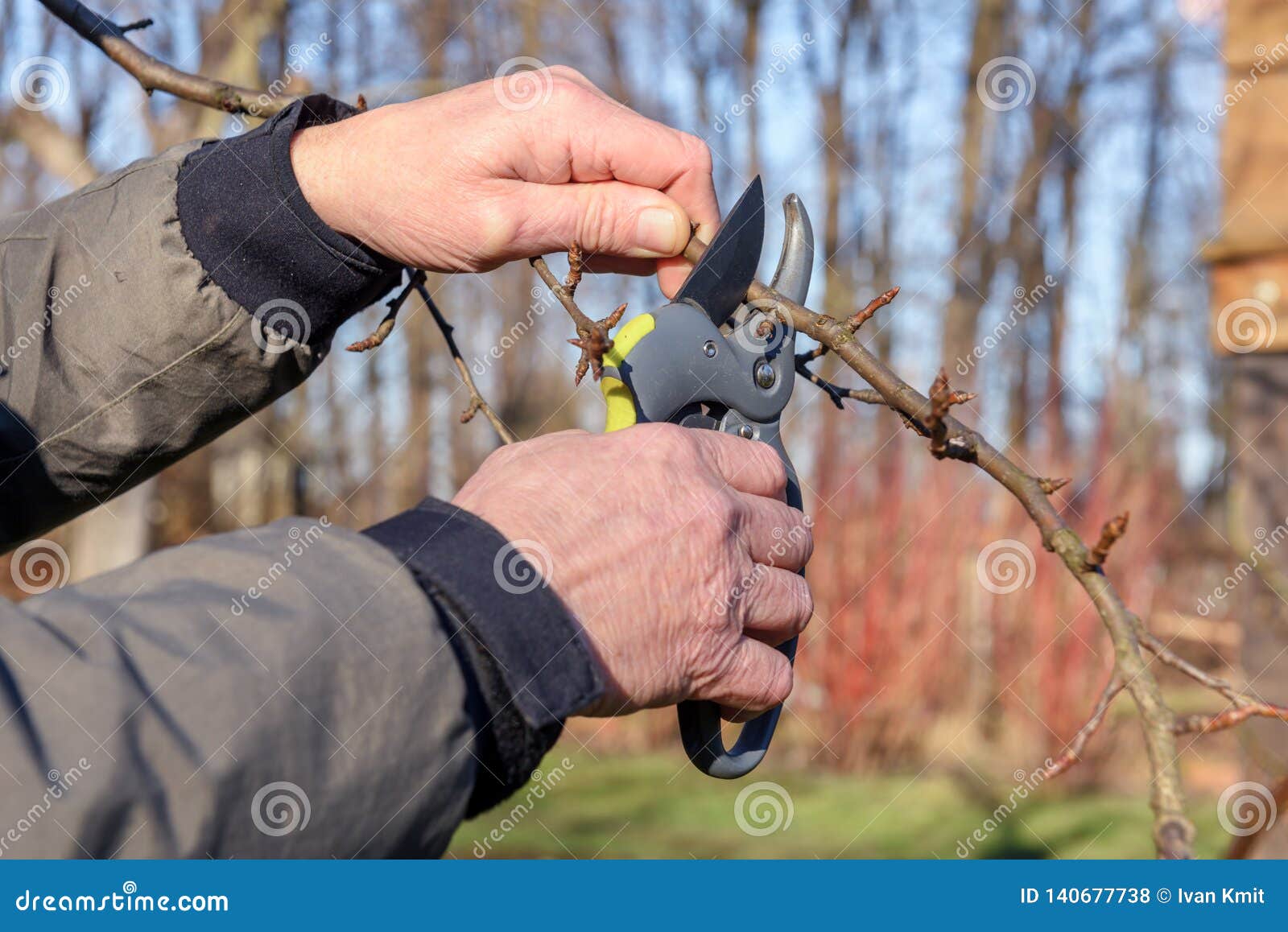 Gardening Work in Spring Time Stock Photo - Image of agriculture, bush ...