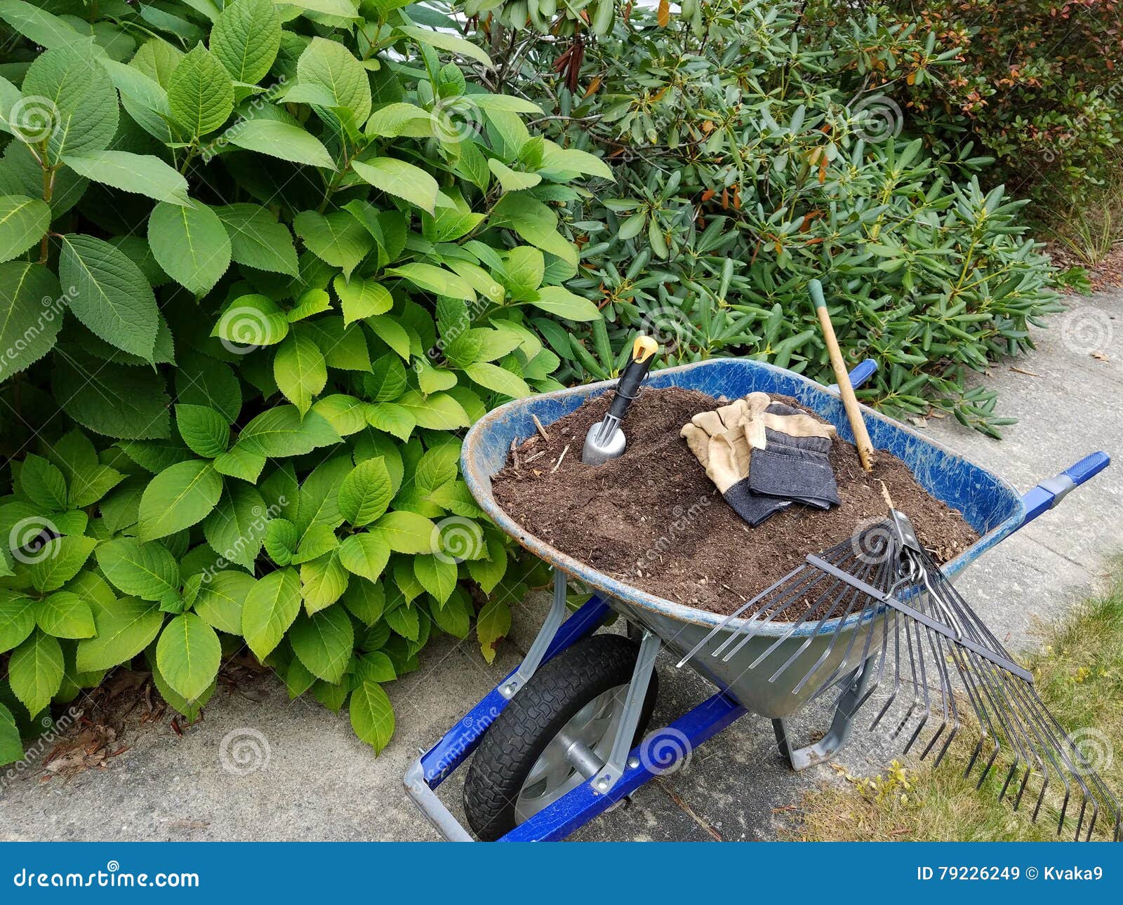 58,721 Yard Work Stock Photos - Free & Royalty-Free Stock Photos from ...