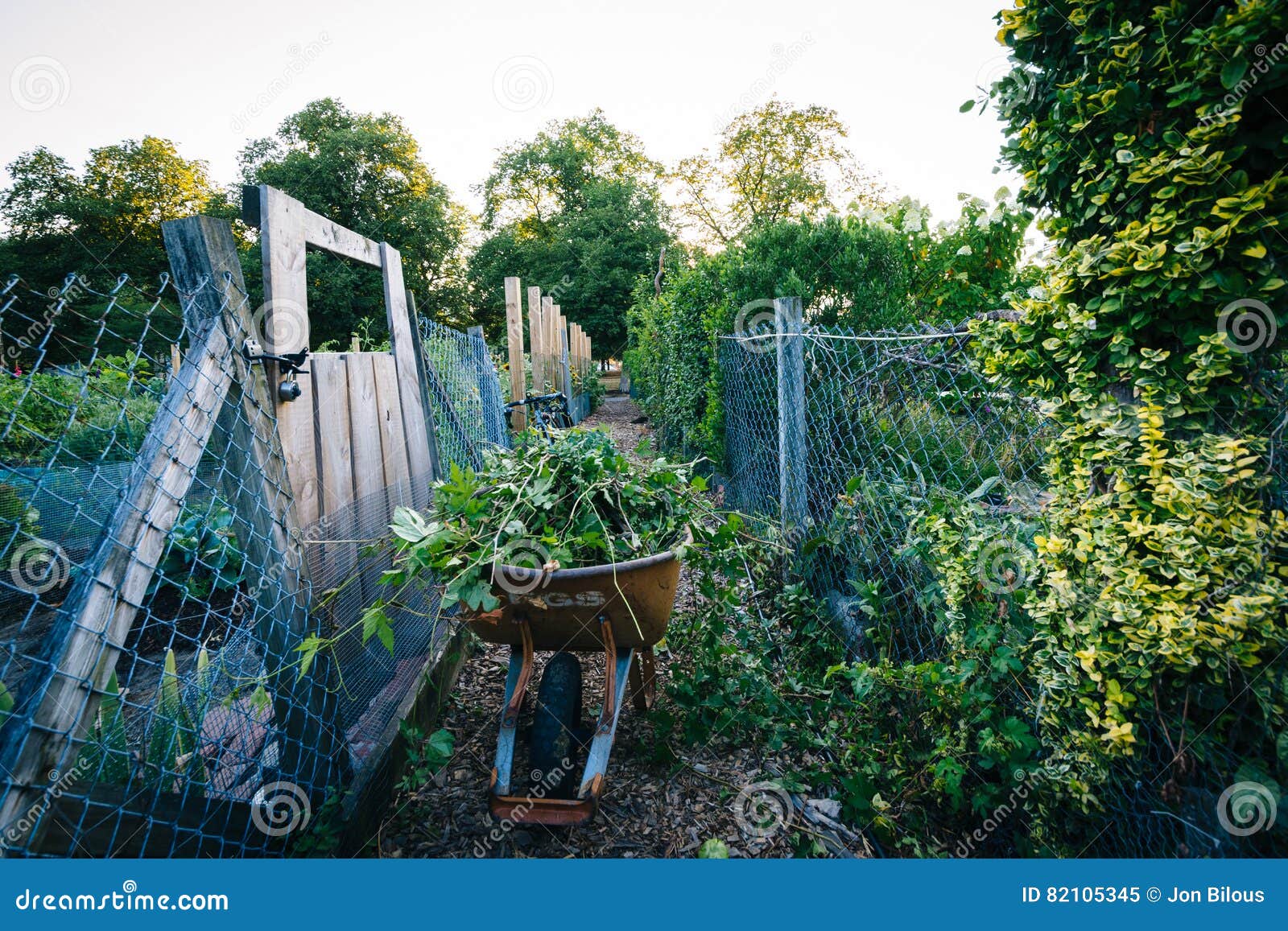 Gardens at Back Bay Fens, in Boston, Massachusetts. Stock Image - Image ...