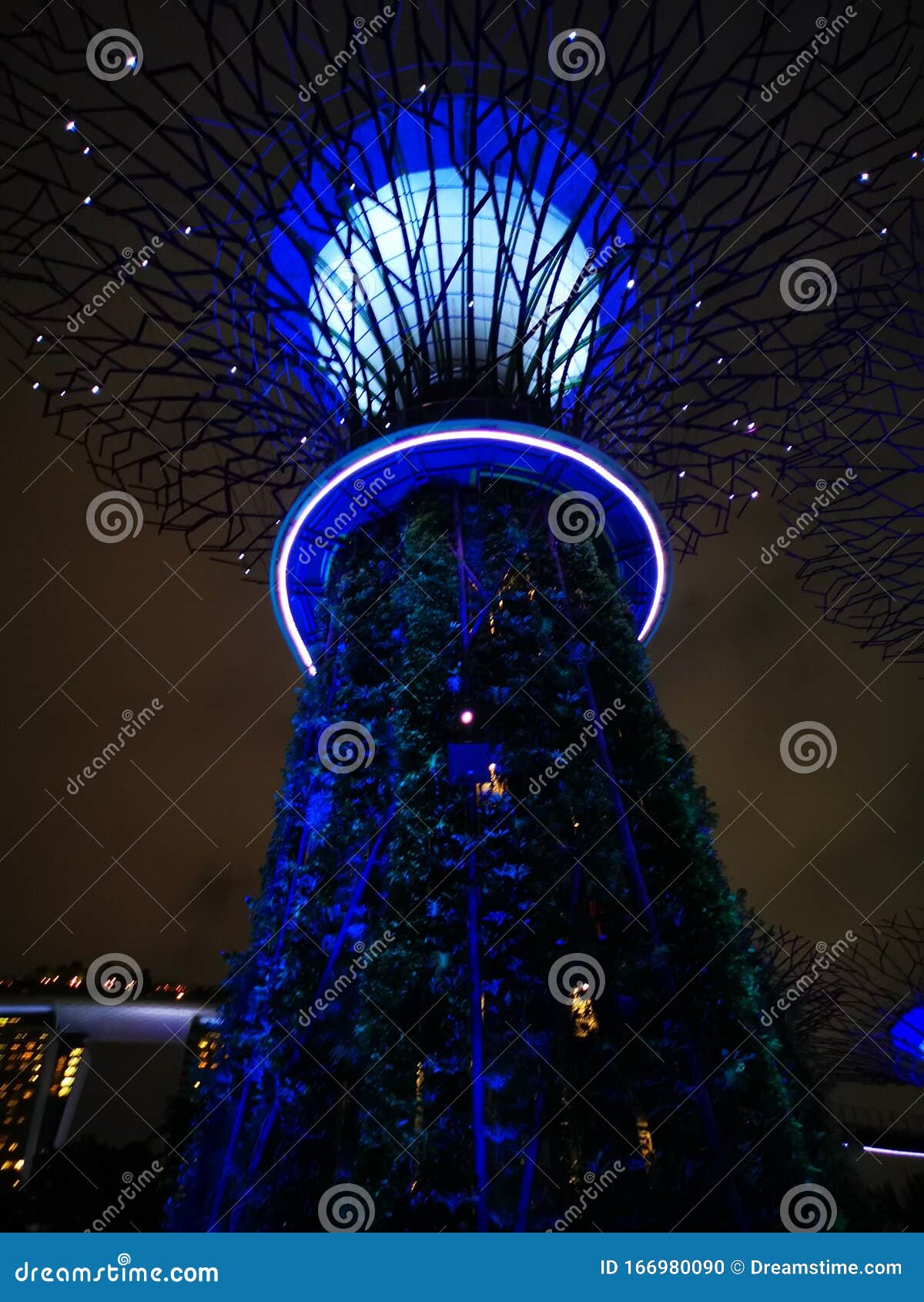 Gardens by the Bay Blue Night Light Single Solo Sky View Stock Photo ...