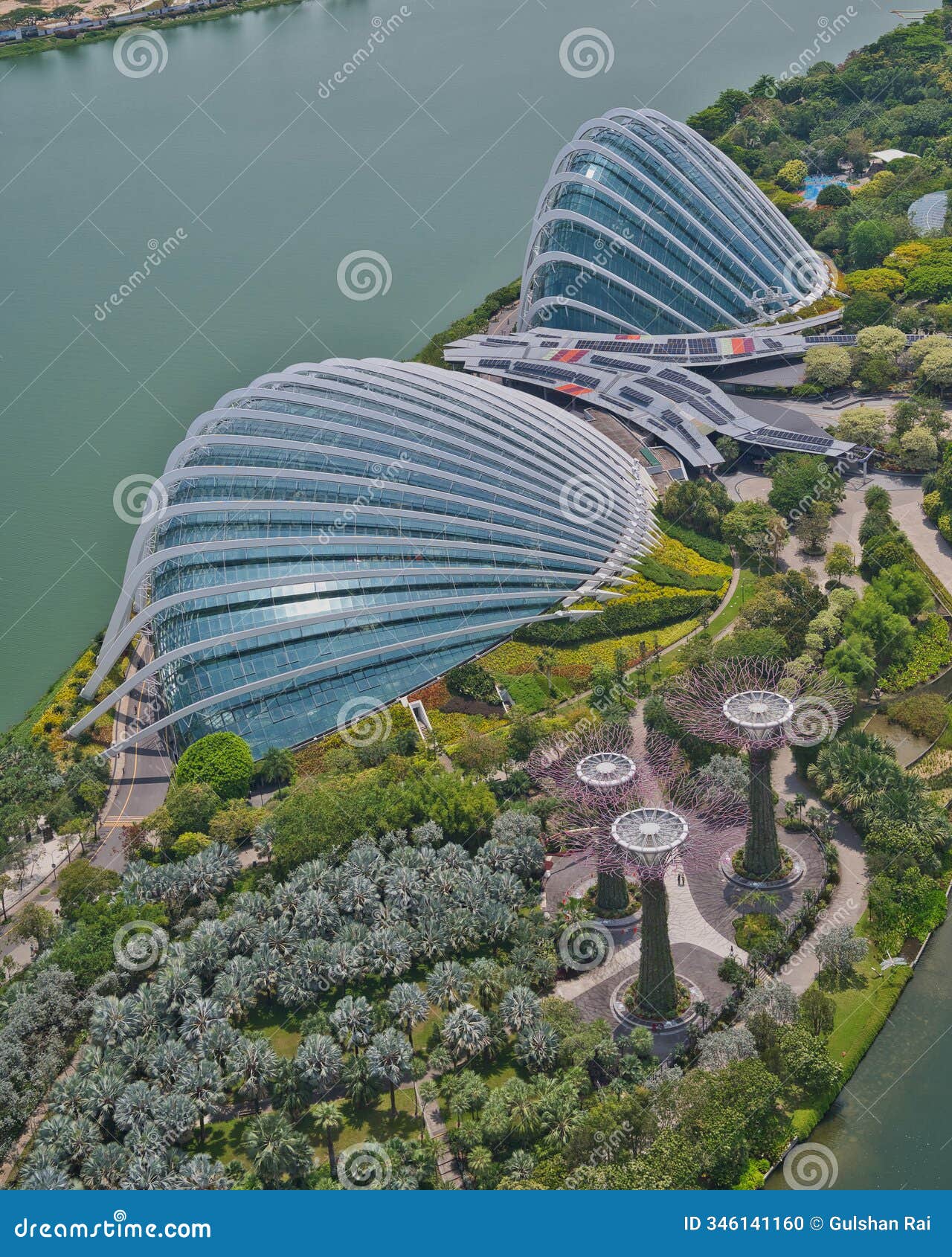Gardens by the Bay stock photo. Image of dome, metropolis - 346141160