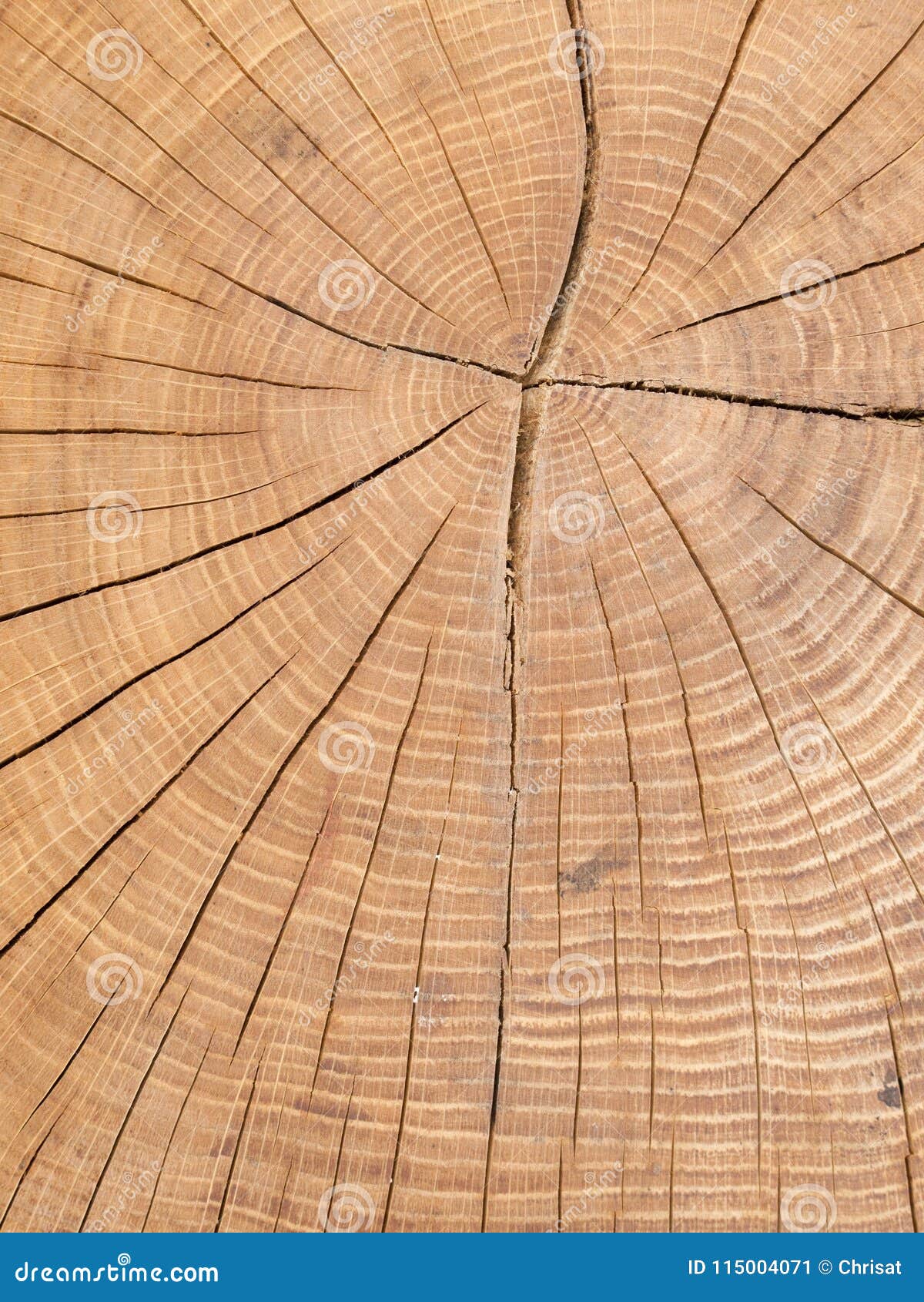 Gardens & Gardening Background Stock Image - Image of close, grain ...