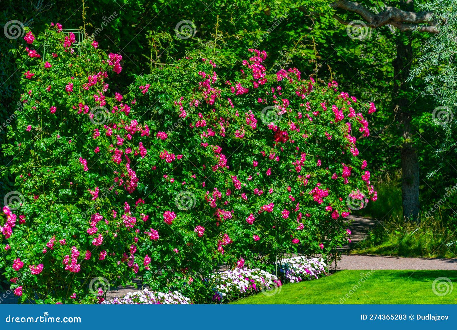 Gardens at Solliden Palace in Sweden Stock Image - Image of blossom ...