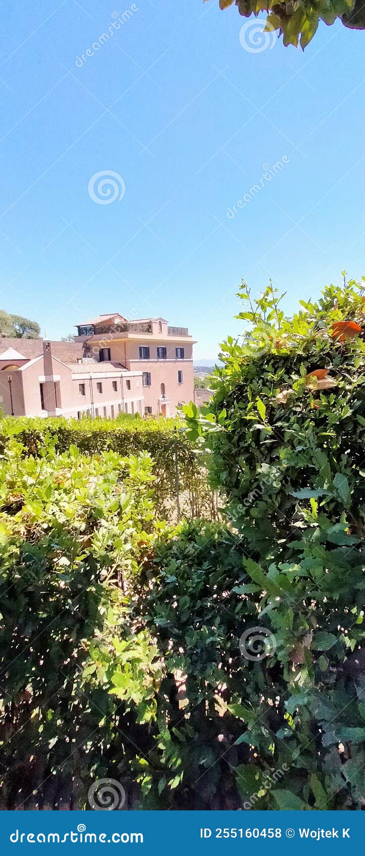 Gardens of Vatican stock photo. Image of flower, gardens - 255160458