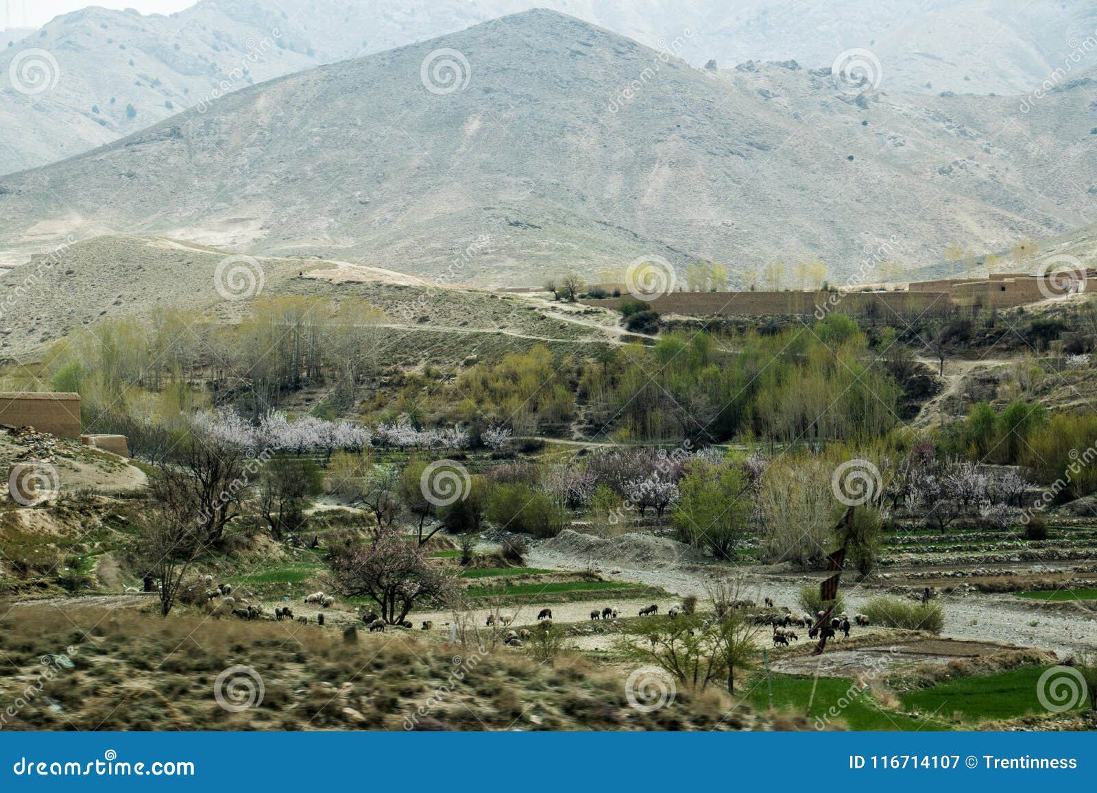 Gardez in Afghanistan in the Winter of 2018 Stock Image - Image of ...