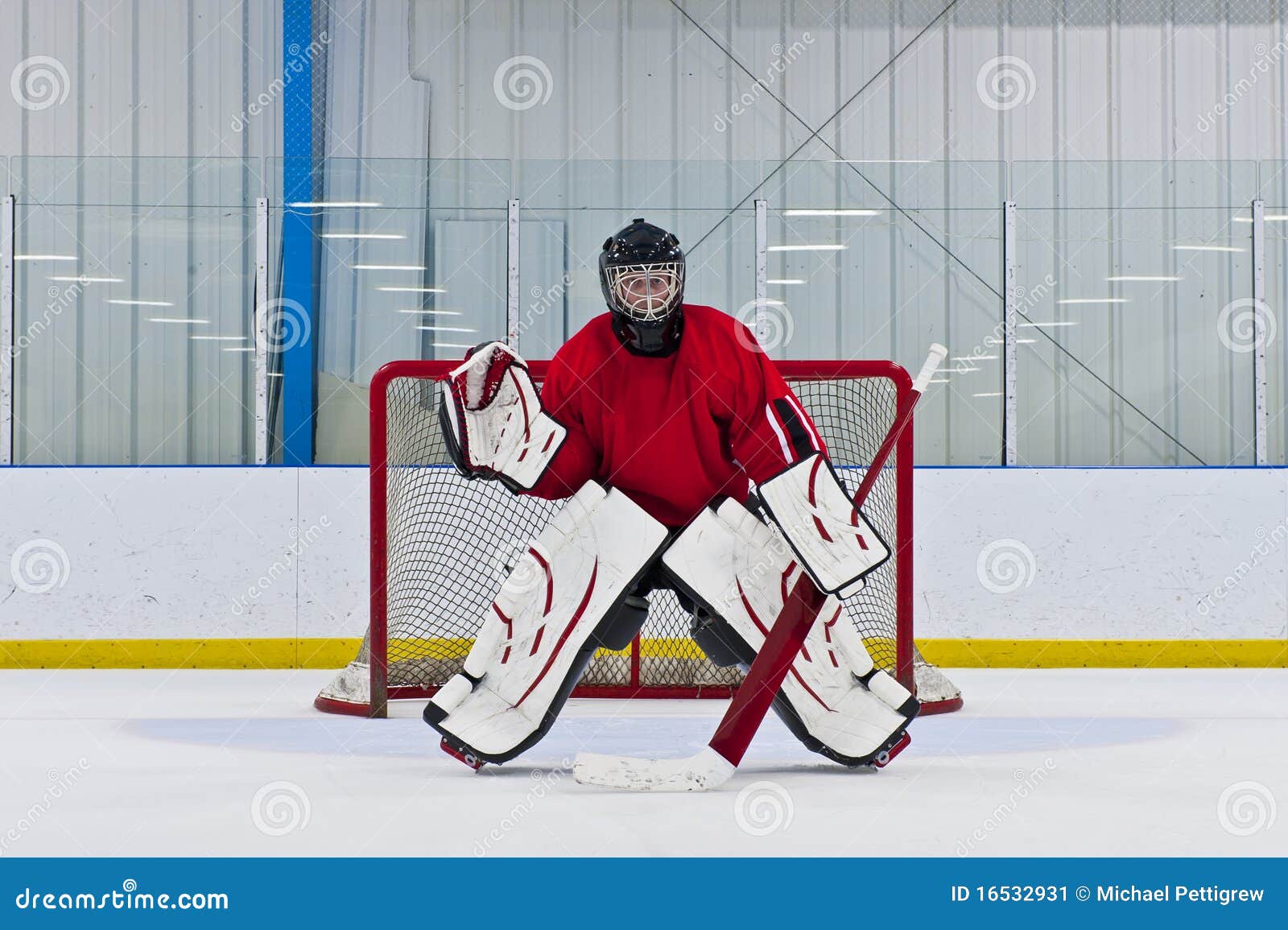 Gardien De but De Hockey Sur Glace Image stock - Image du arène ...