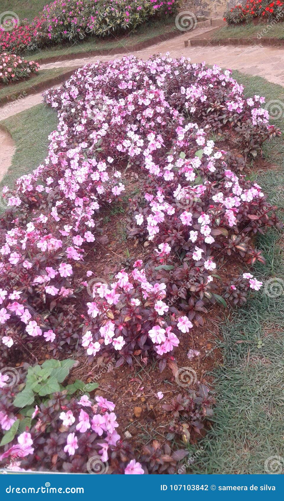 Garding stock photo. Image of tour, garding, haggala - 107103842