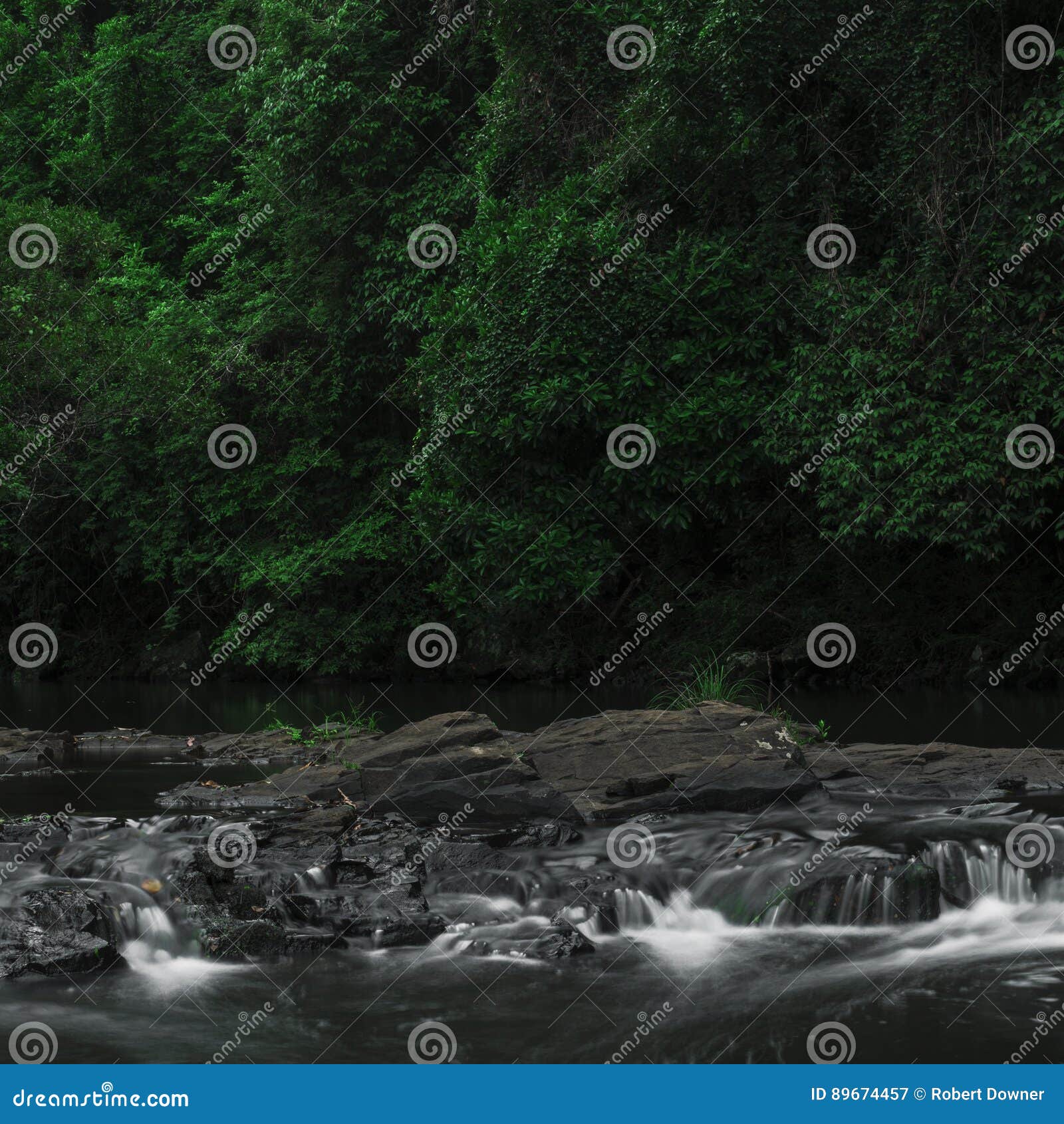 Gardners Falls in Maleny, Sunshine Coast Stock Image - Image of ...