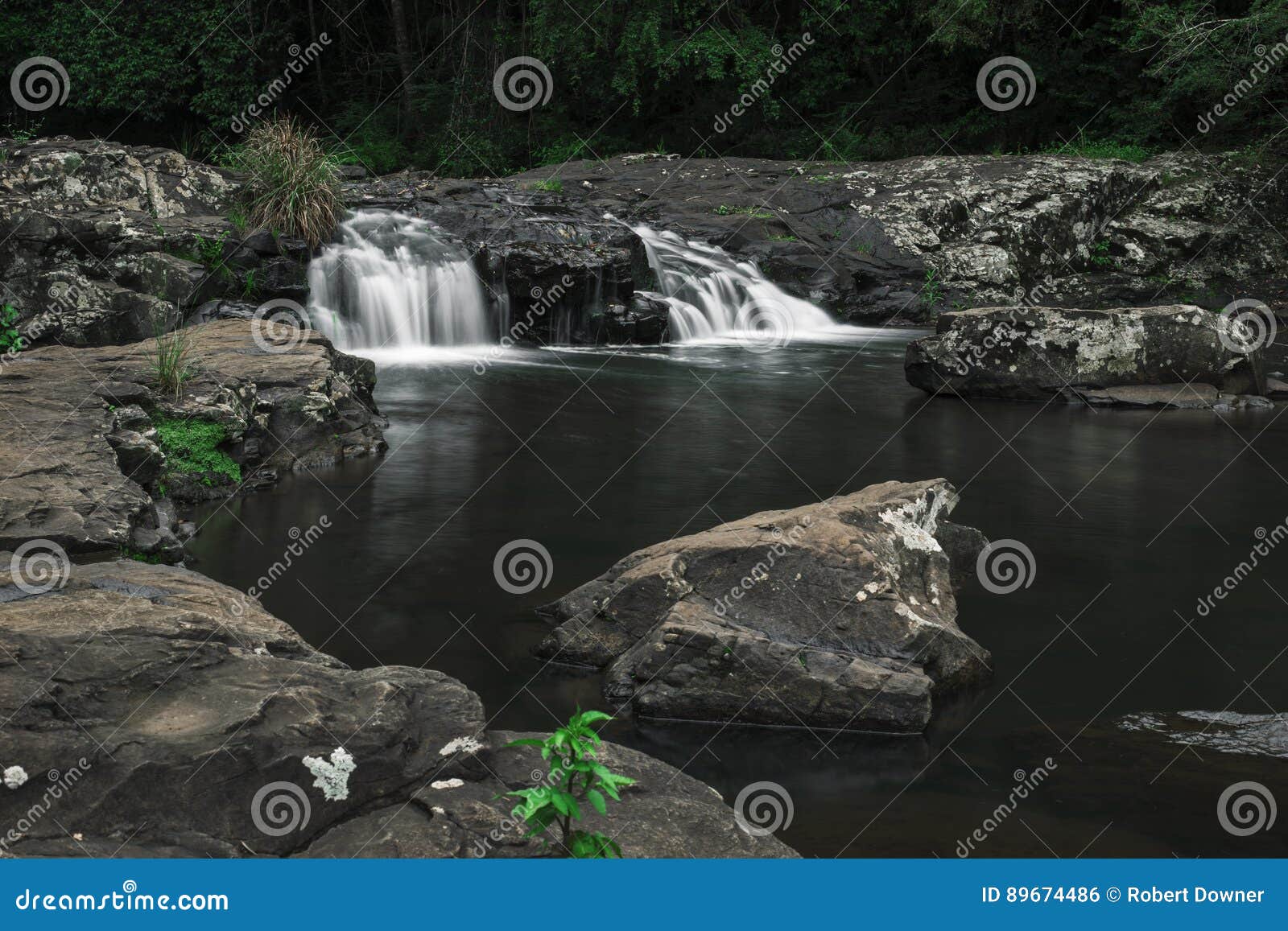 Gardners Falls in Maleny, Sunshine Coast Stock Photo - Image of river ...