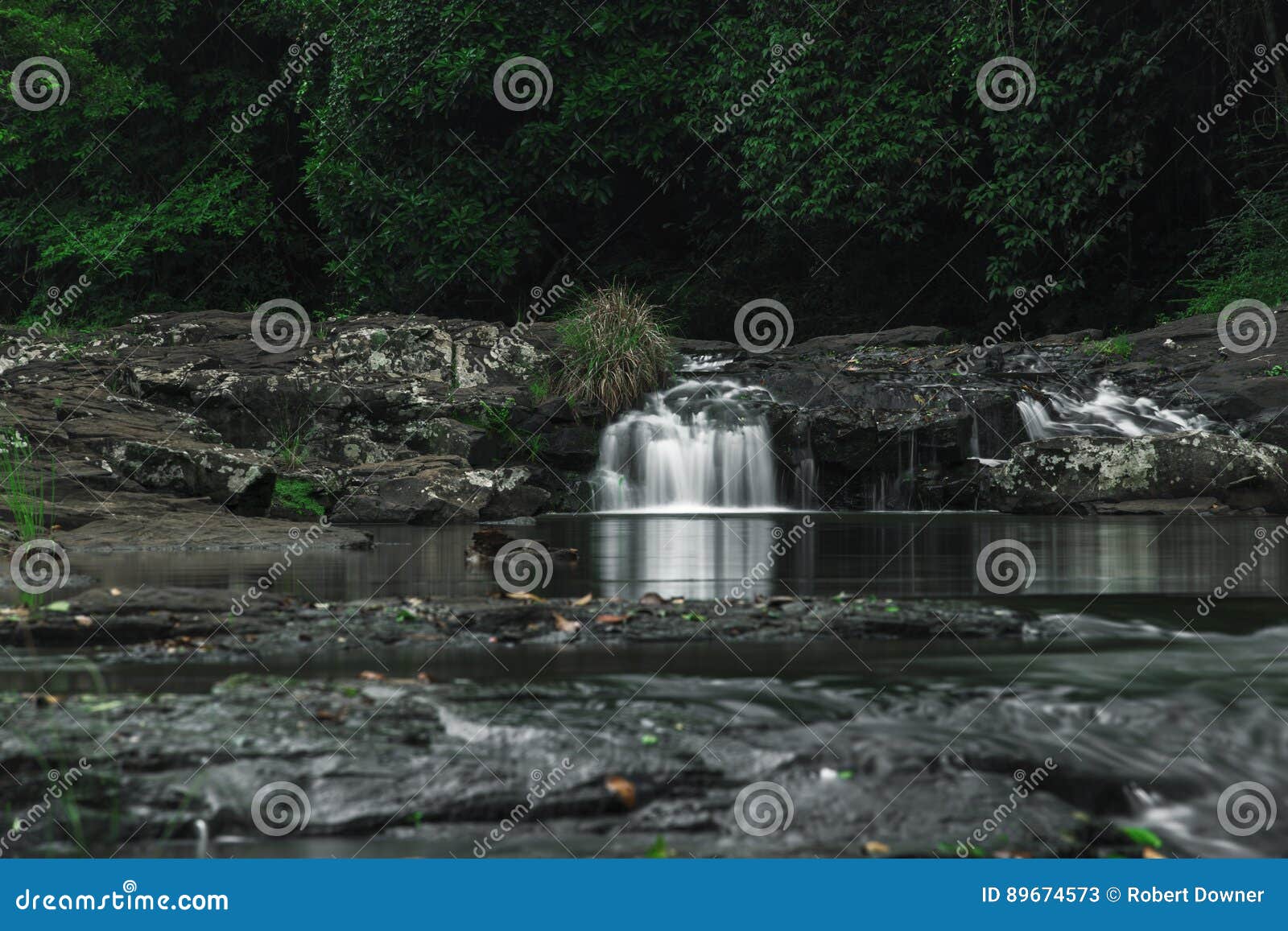 Gardners Falls in Maleny, Sunshine Coast Stock Image - Image of ...