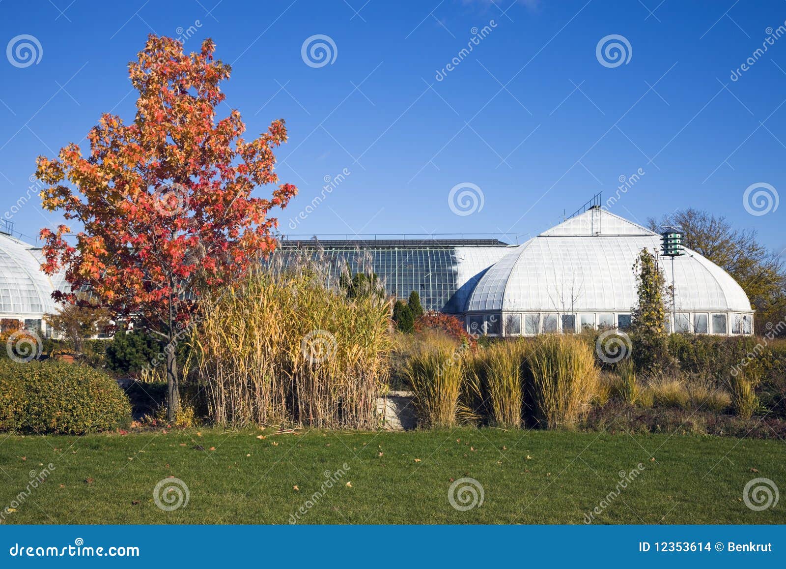 Garfield Park Conservatory Royalty-Free Stock Image | CartoonDealer.com ...