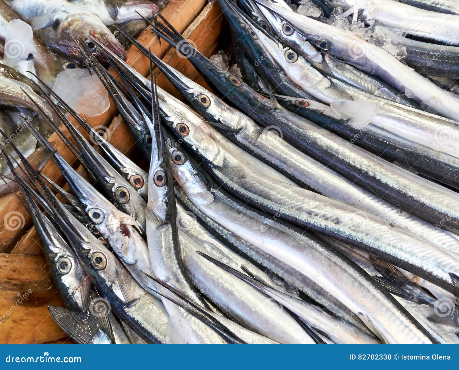 Foto Stock e immagini a tema Garfish - Scarica 409 foto