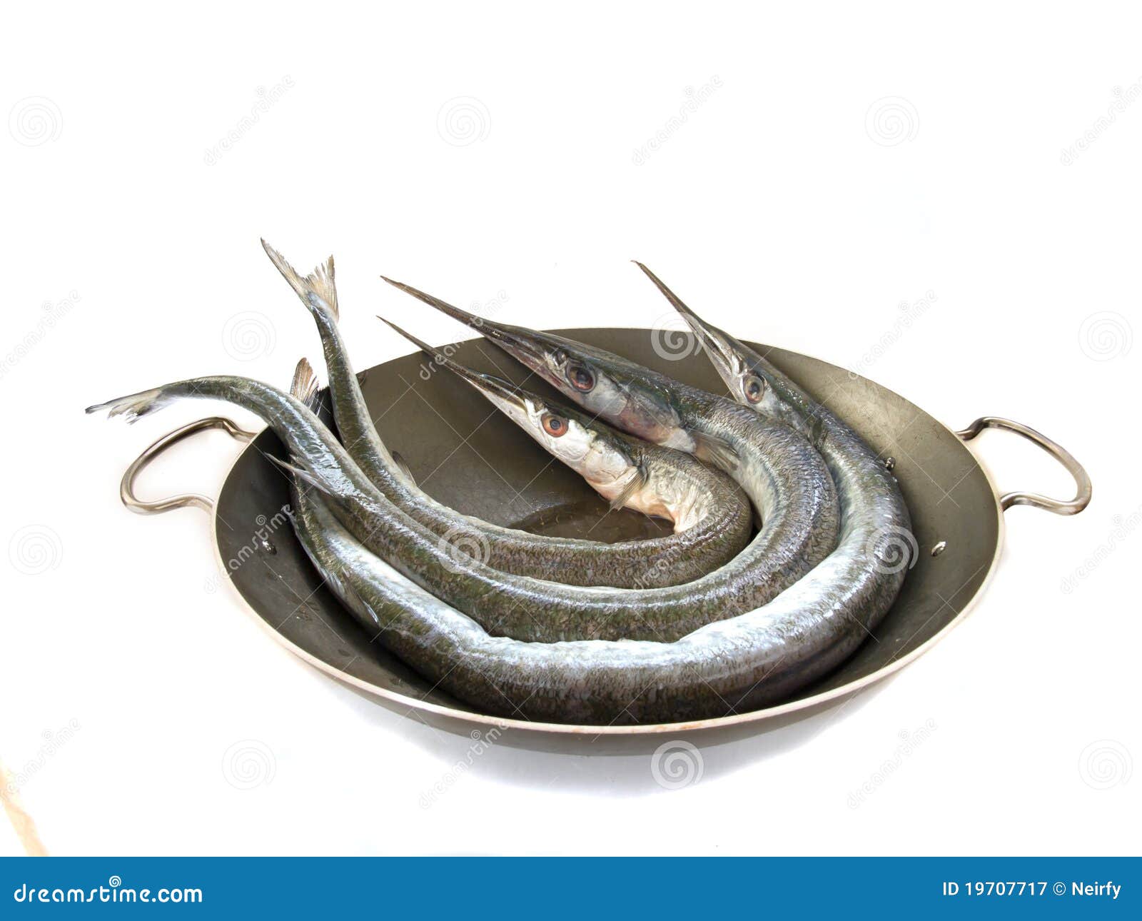 Garfish (Belone belone) stock image. Image of delicious - 19707717
