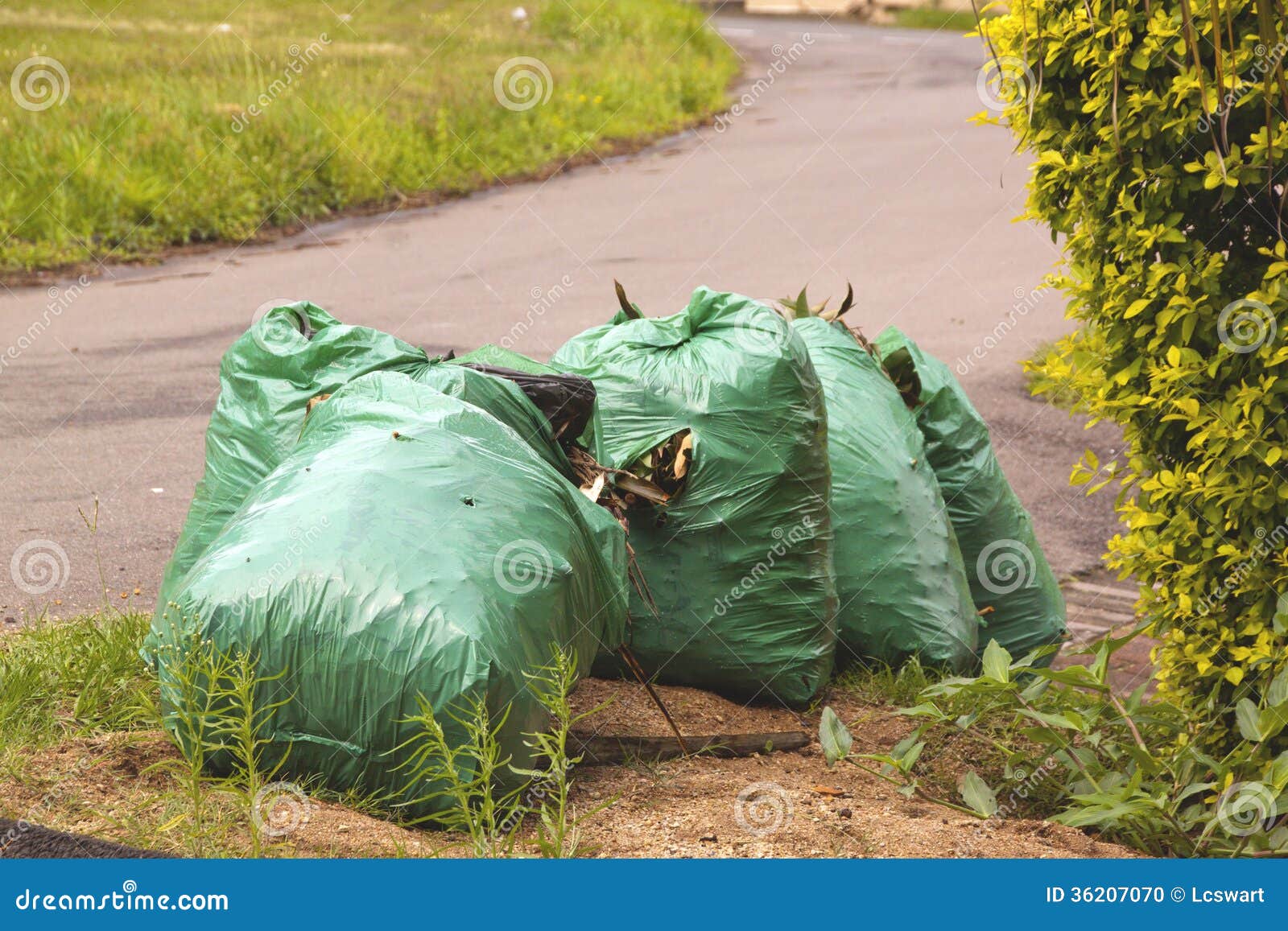 Gargbage Bags Waiting for Collectionon Side of Road Stock Photo - Image ...