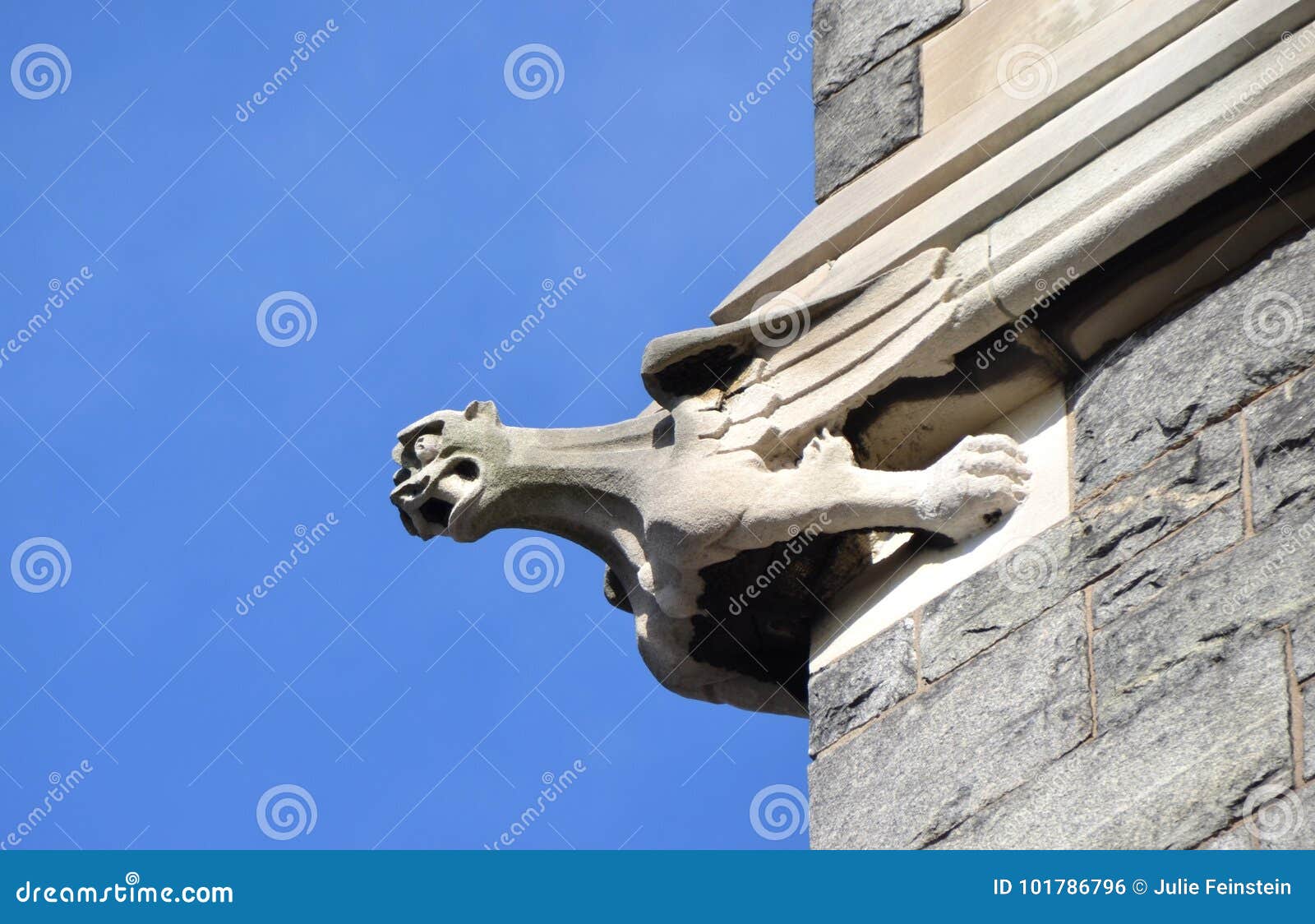 Gargoyle foto de stock. Imagem de calha, parede, pedra - 101786796