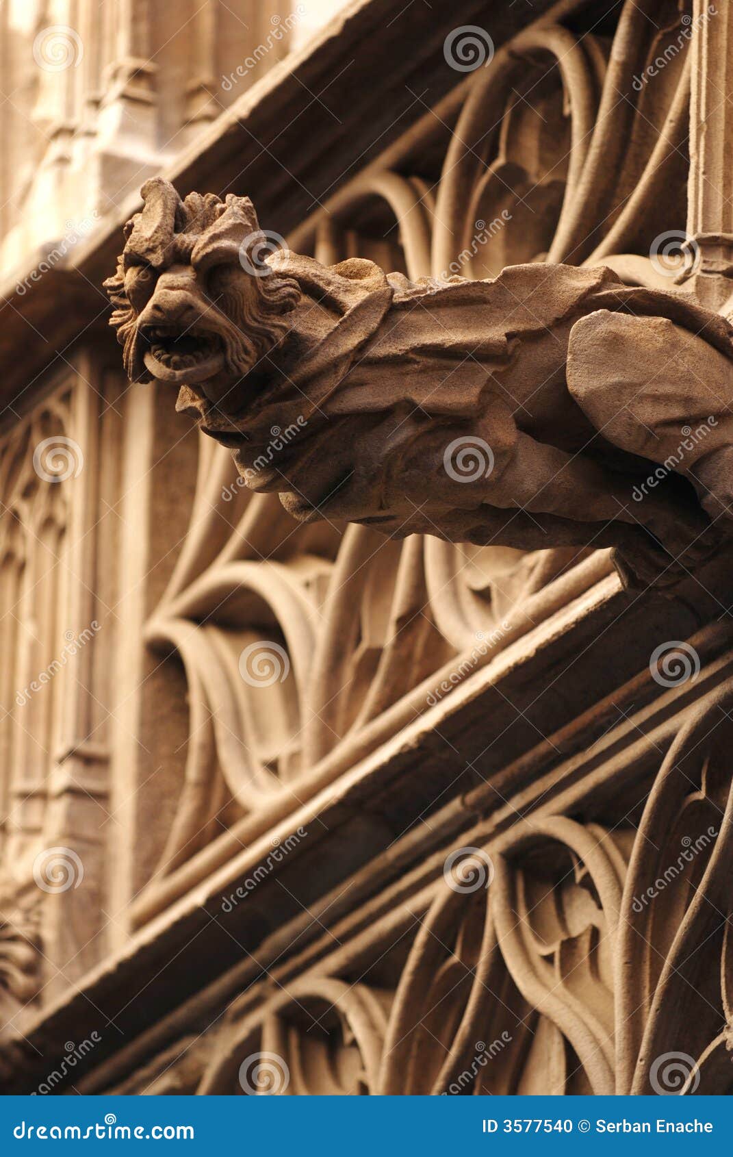 Gargoyle stock photo. Image of architectural, decorated - 3577540