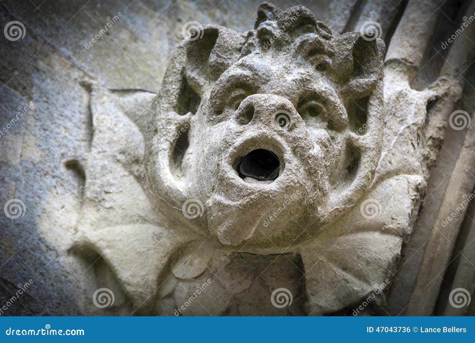 Gargoyle stock photo. Image of stone, sculpture, head - 47043736