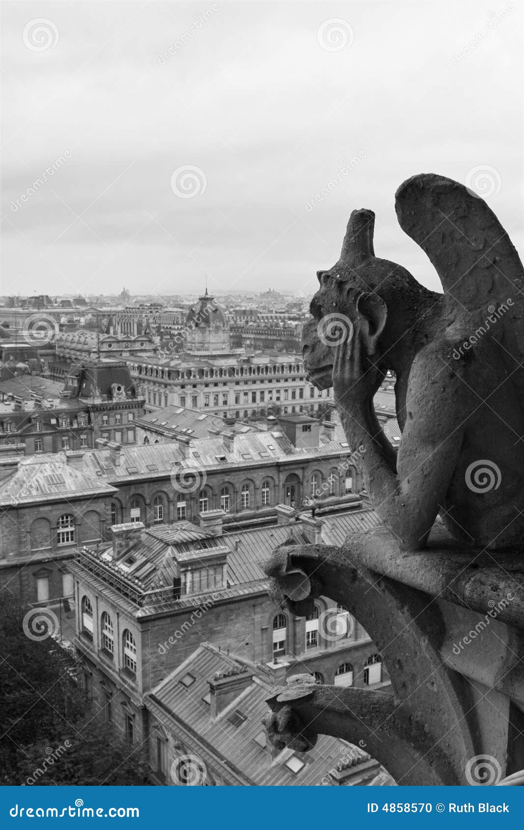 Gargoyle overlooking Paris stock photo. Image of horizon - 4858570