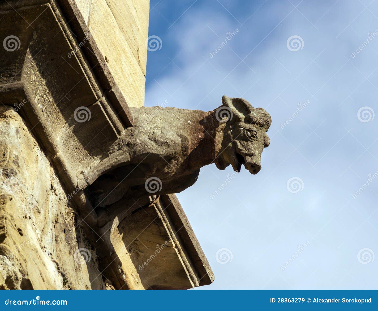 Medieval Cathedrals Gargoyles