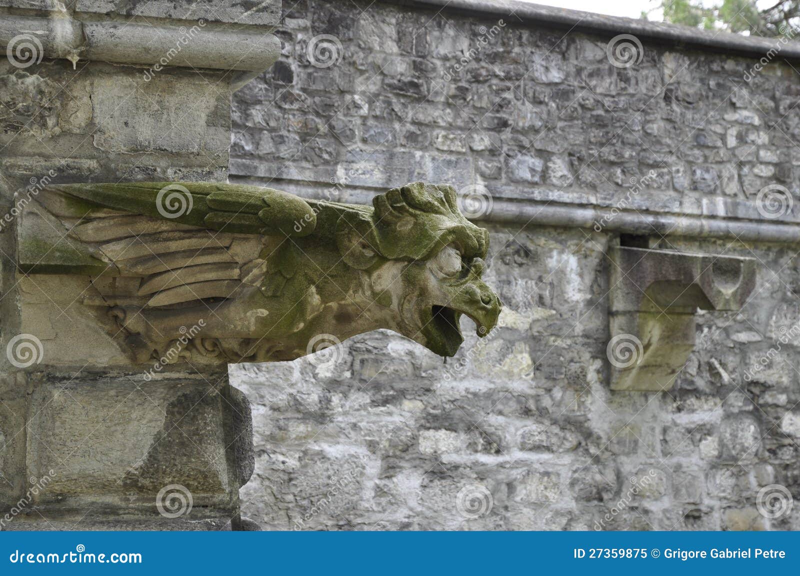 Gargoyle standing stock image. Image of medieval, rain - 27359875