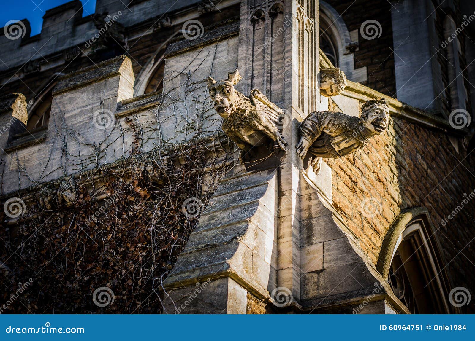 Gargoyle Statue stock image. Image of heraldic, historical - 60964751
