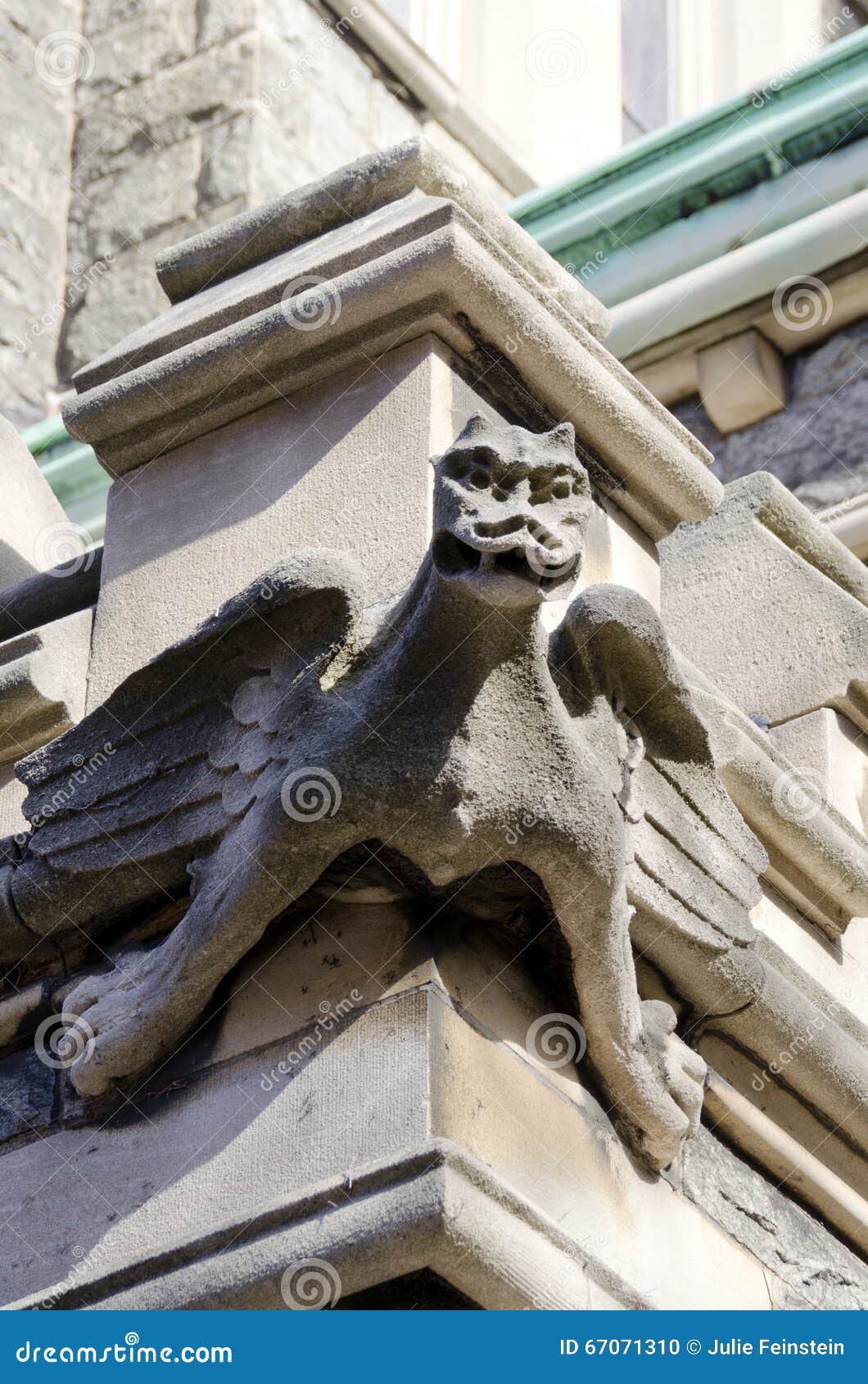Gargoyle stock photo. Image of grotesque, gutter, spout - 67071310