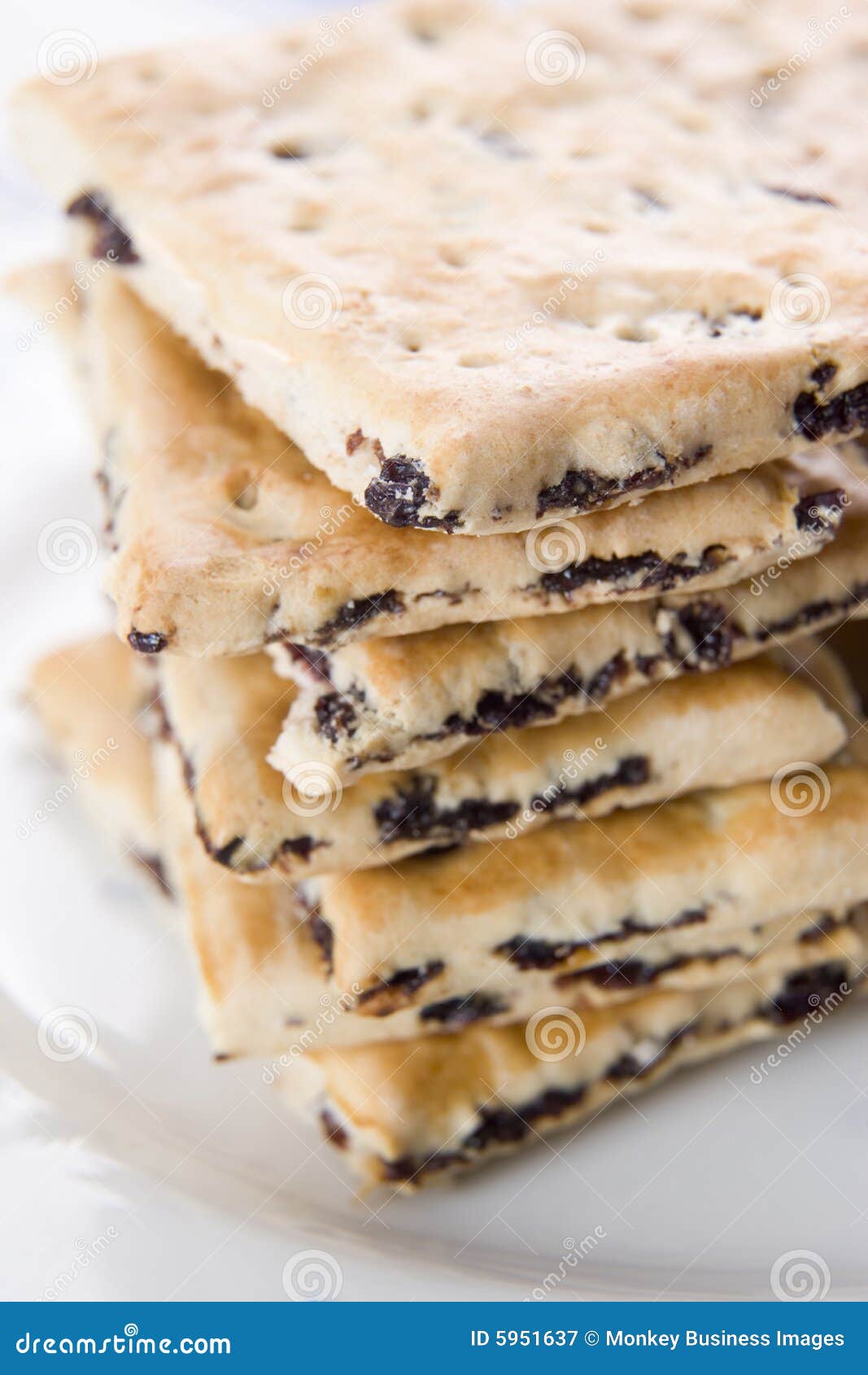 Garibaldi Biscuits stock image. Image of garibaldi, food - 5951637