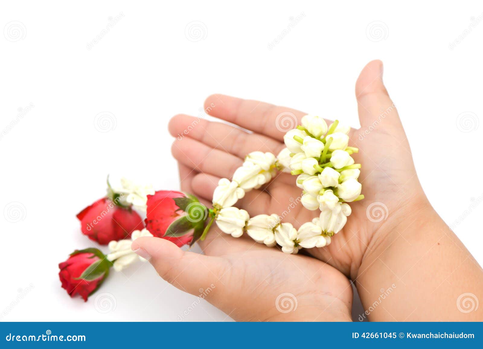 Garland jasmine in hand stock image. Image of floral - 42661045