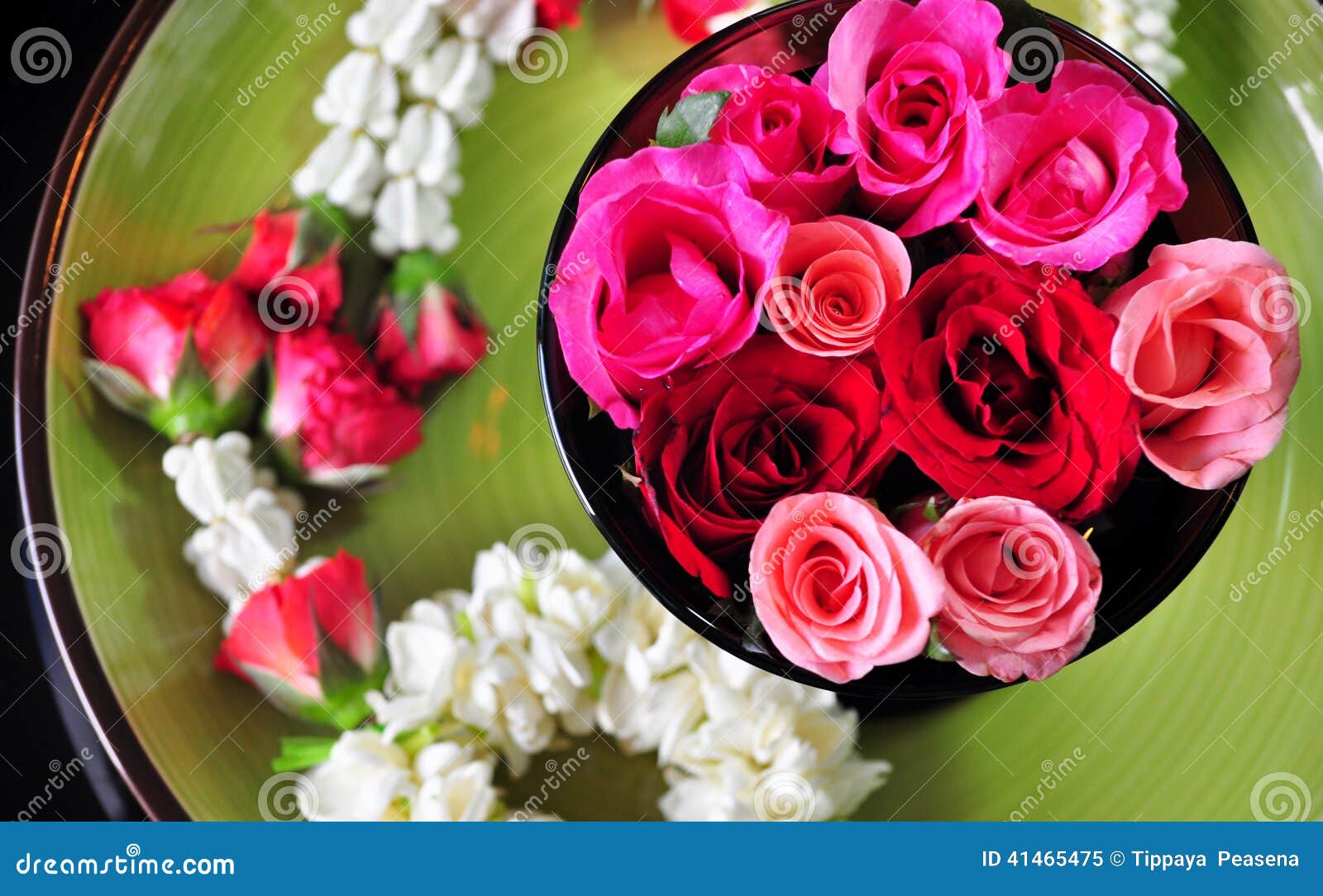 Spa Rose Garland of Thailand Stock Image - Image of nature, colorful ...