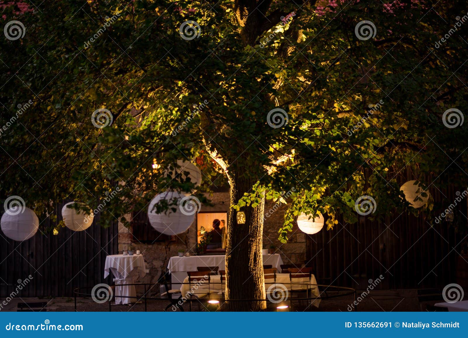 Garlands and Decorations on a Large Tree. a Party Stock Image - Image ...
