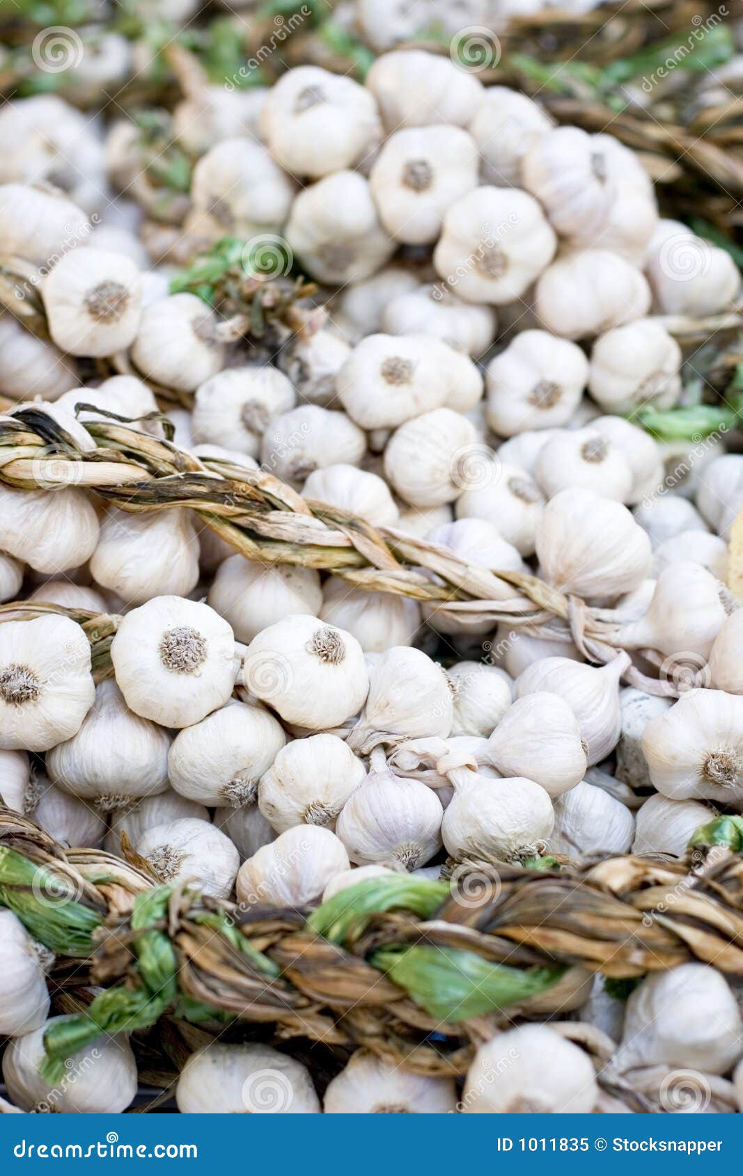 Garlic stock image. Image of gourmet, bunch, smelly, vegetables - 1011835