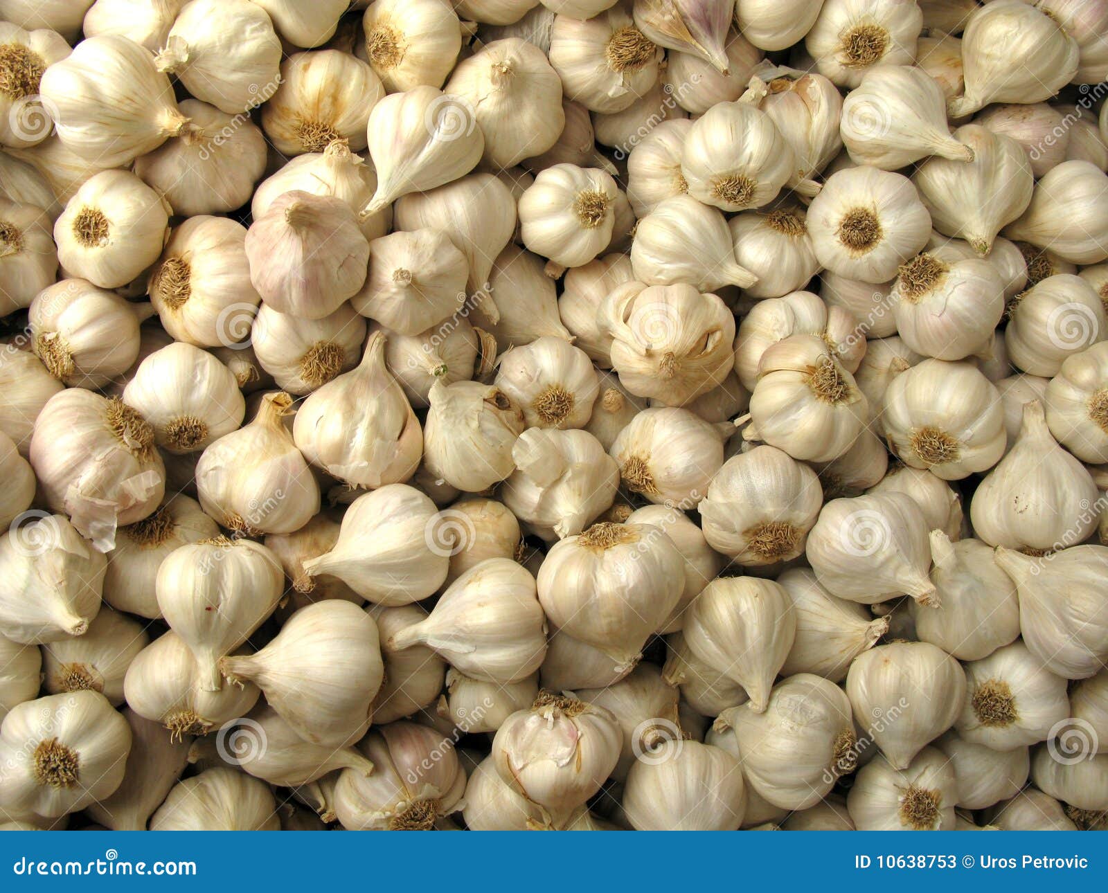 Garlic stock image. Image of color, fresh, culinary, full - 10638753