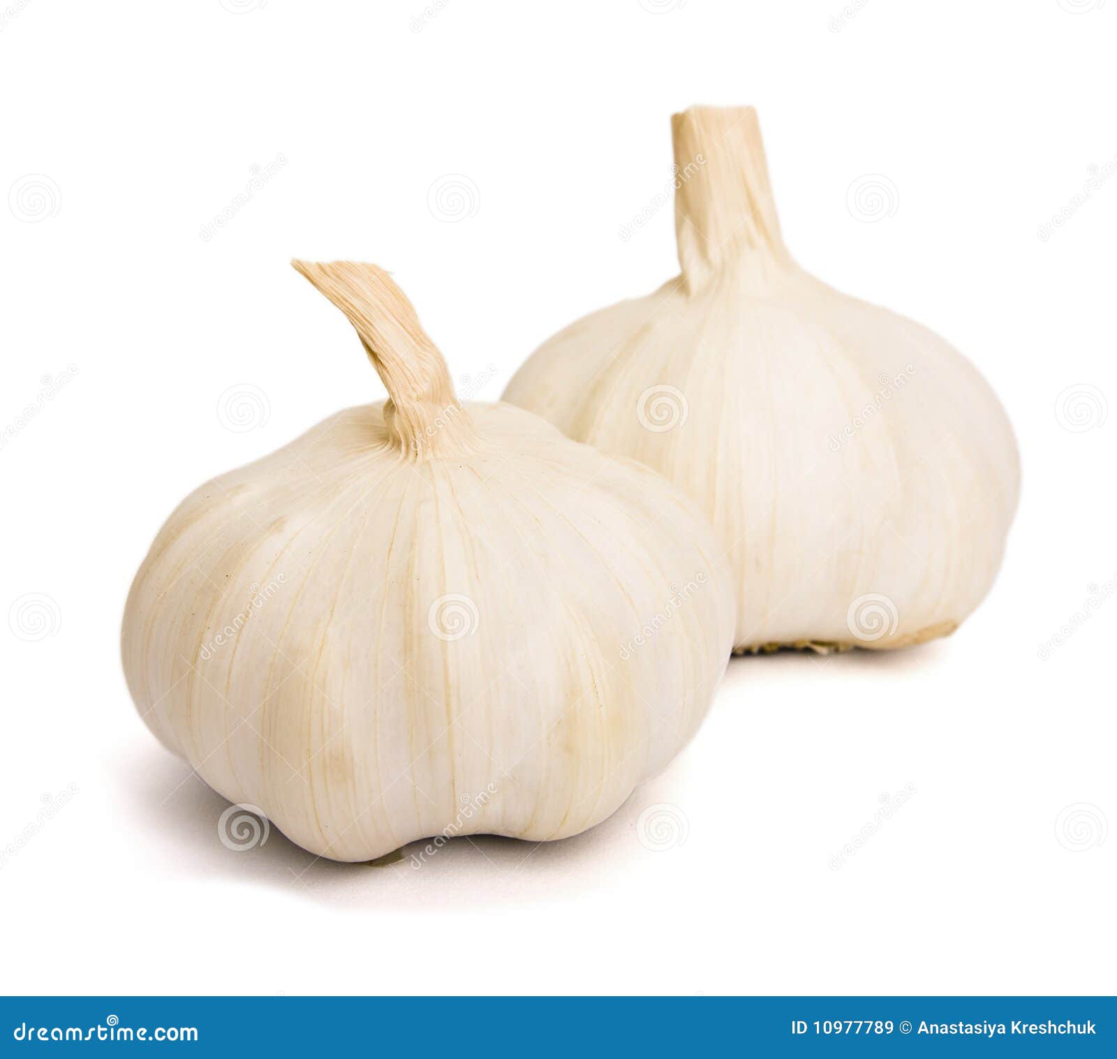 Garlic stock image. Image of bulb, healthy, ingredient - 10977789