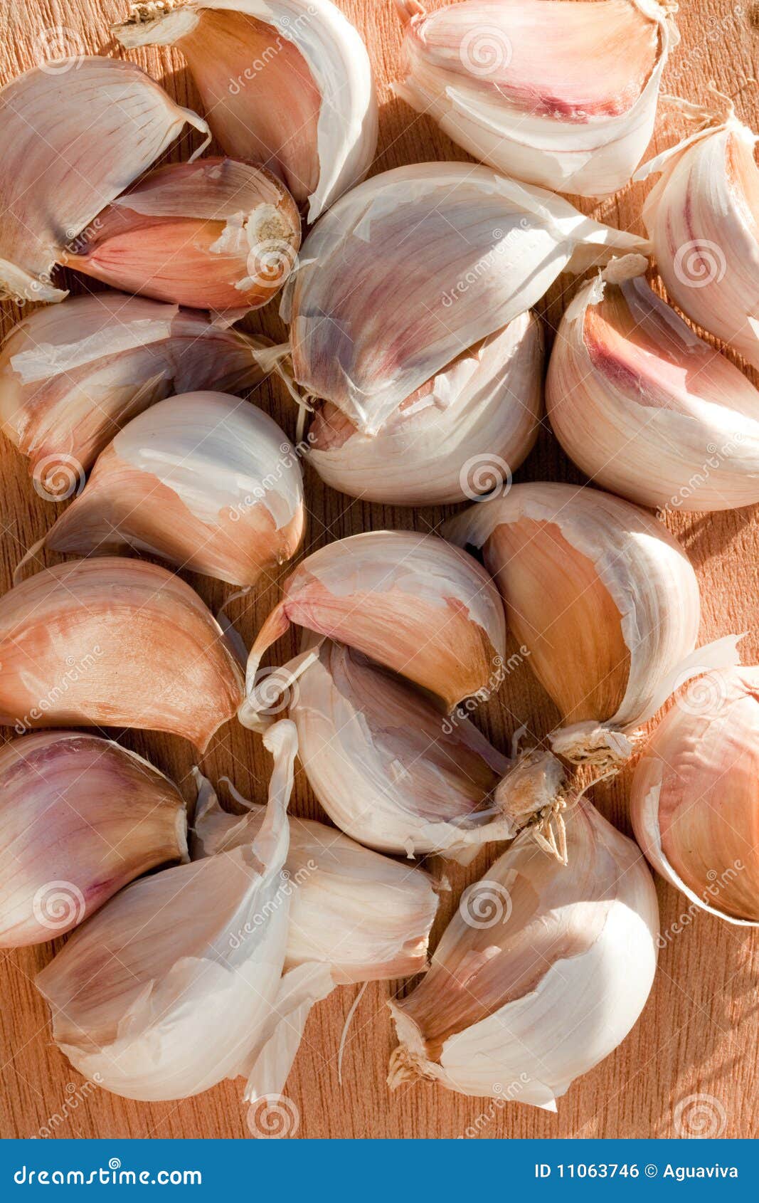 Garlic stock photo. Image of garlic, cooking, italian - 11063746
