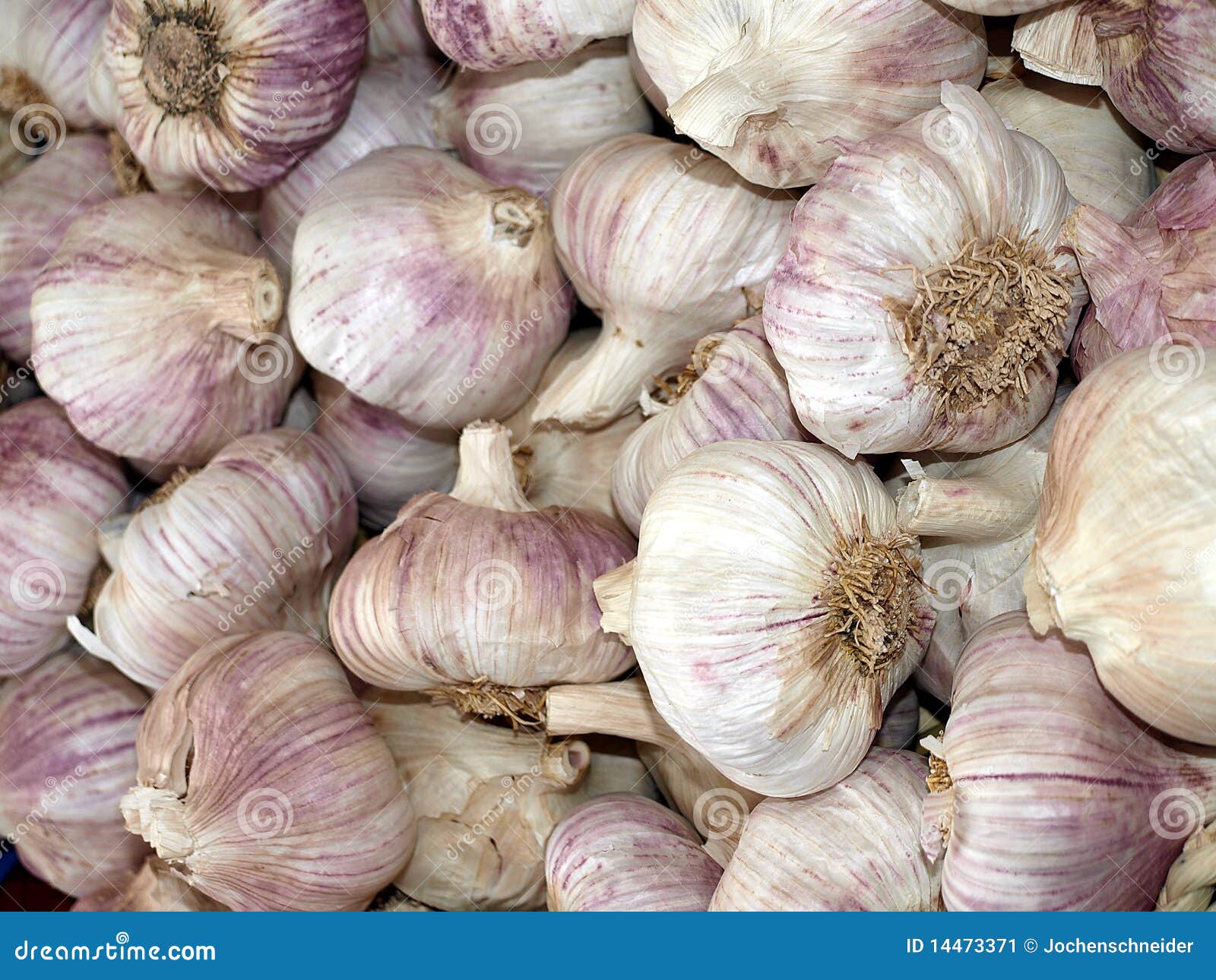Garlic stock image. Image of spice, healthy, ingredient - 14473371