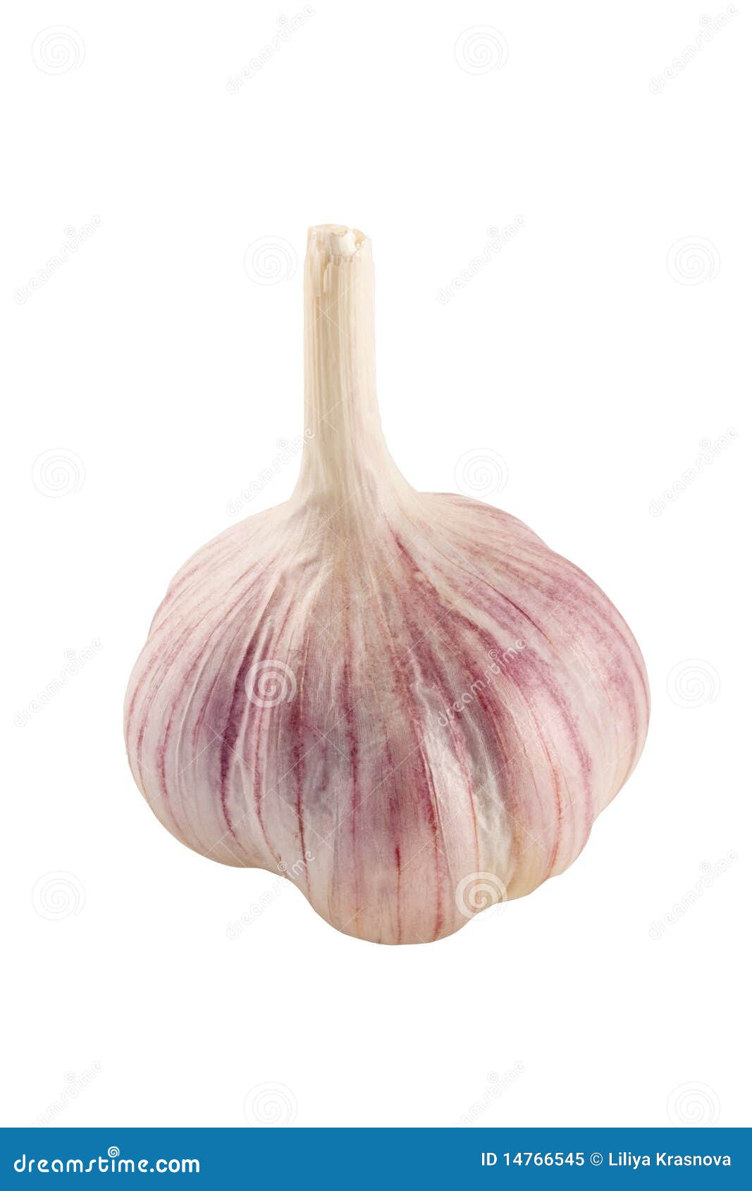 Garlic stock image. Image of pungent, macro, meal, taste - 14766545