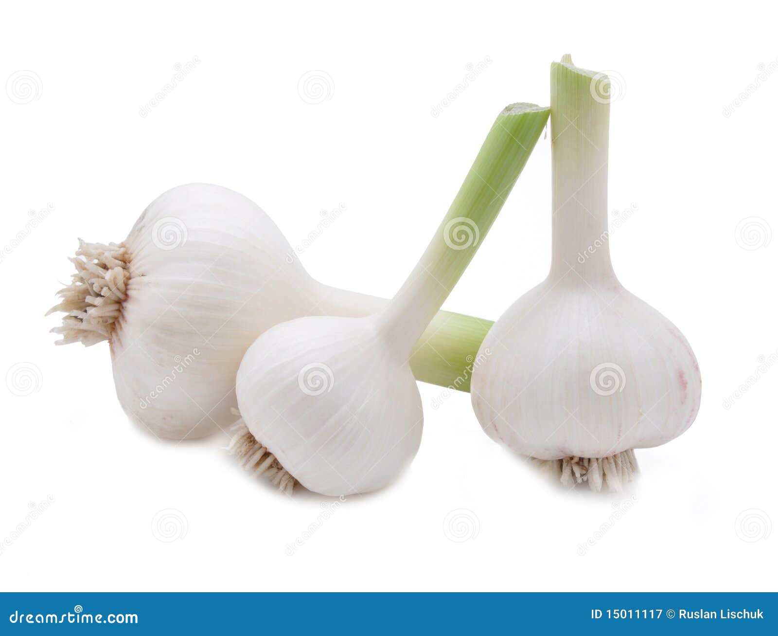 Garlic stock image. Image of sharp, products, plant, feed - 15011117