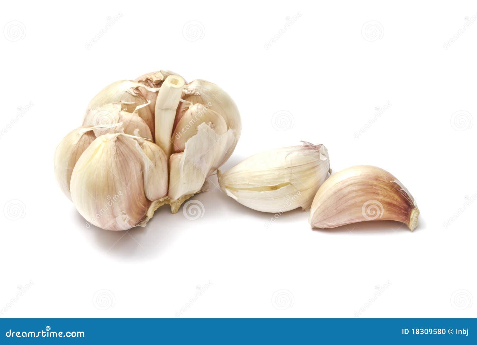 Garlic stock photo. Image of herb, isolated, garlic, fresh - 18309580