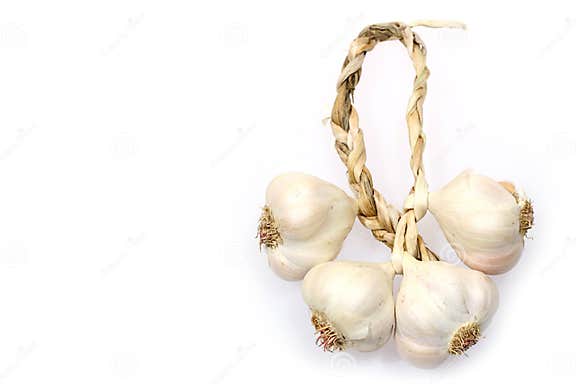 Garlic stock photo. Image of autumn, slice, eating, nature - 1865382