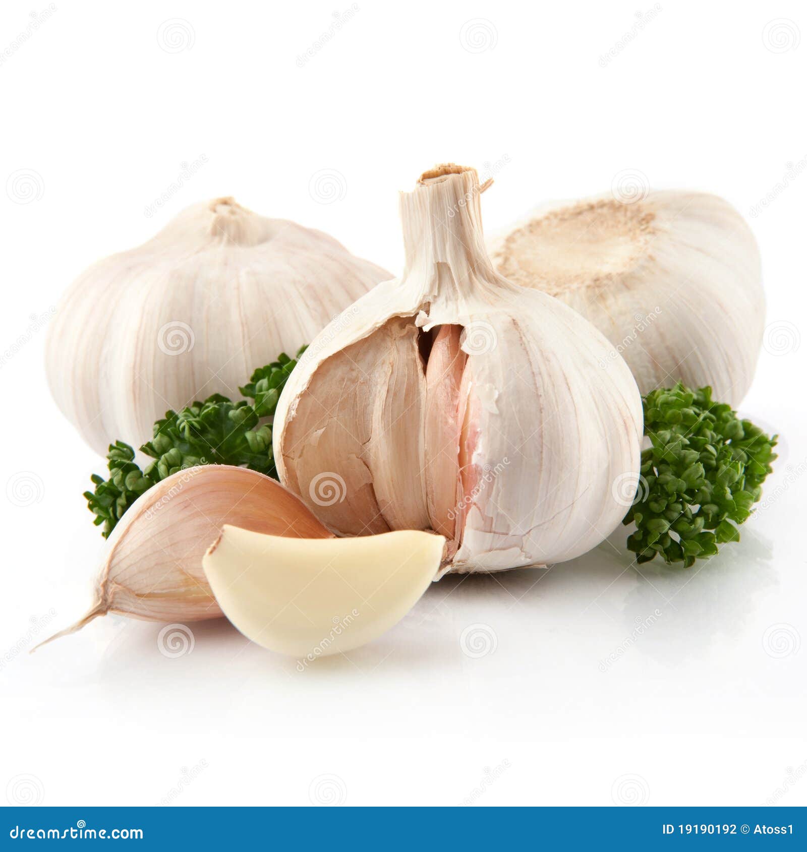Garlic stock photo. Image of spiciness, nutrition, healthy - 19190192