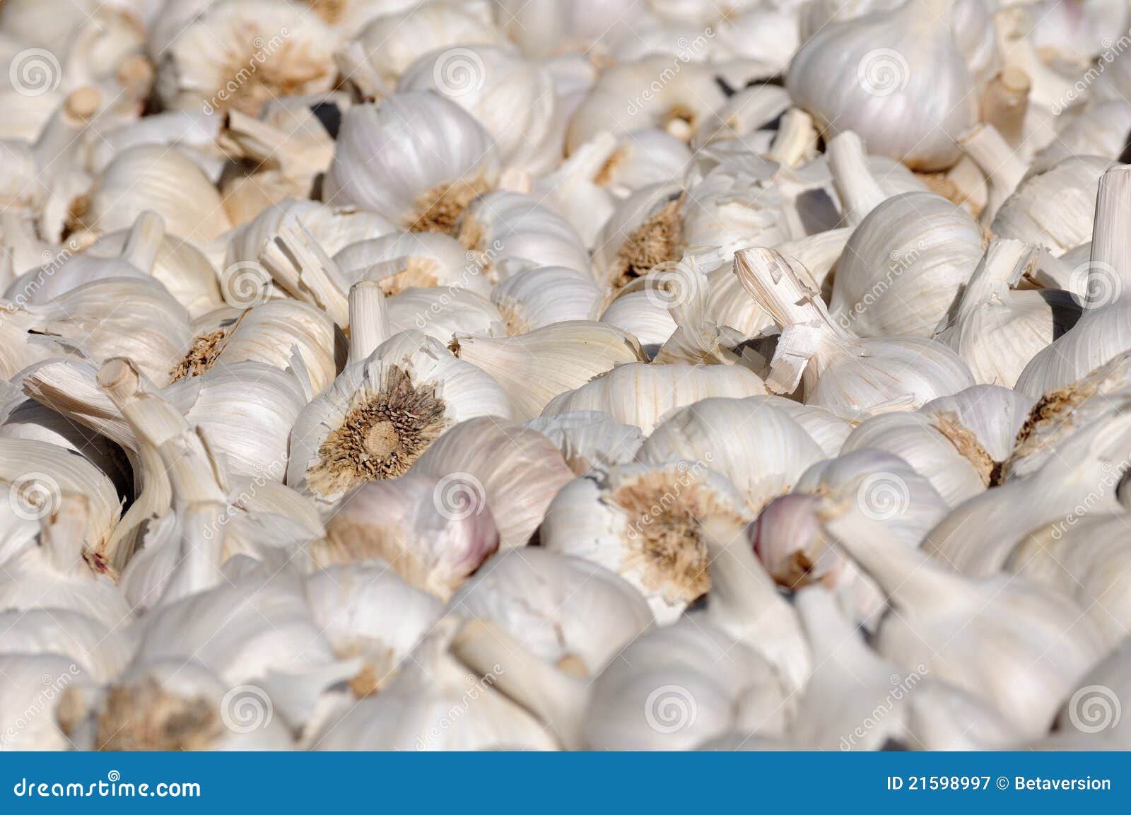 Garlic stock image. Image of white, fresh, healthy, diet - 21598997