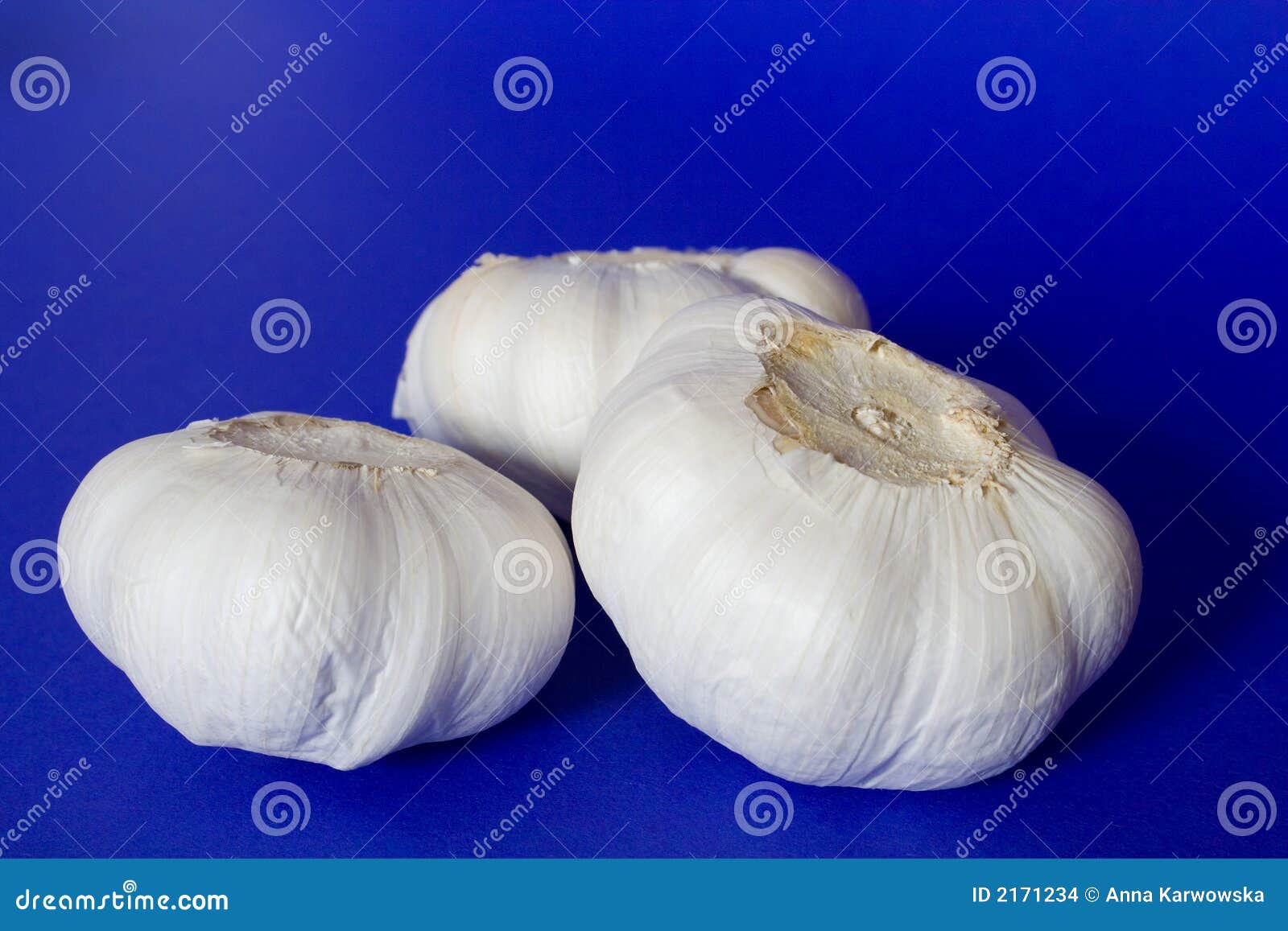 Garlic stock photo. Image of blue, edible, health, kitchen - 2171234